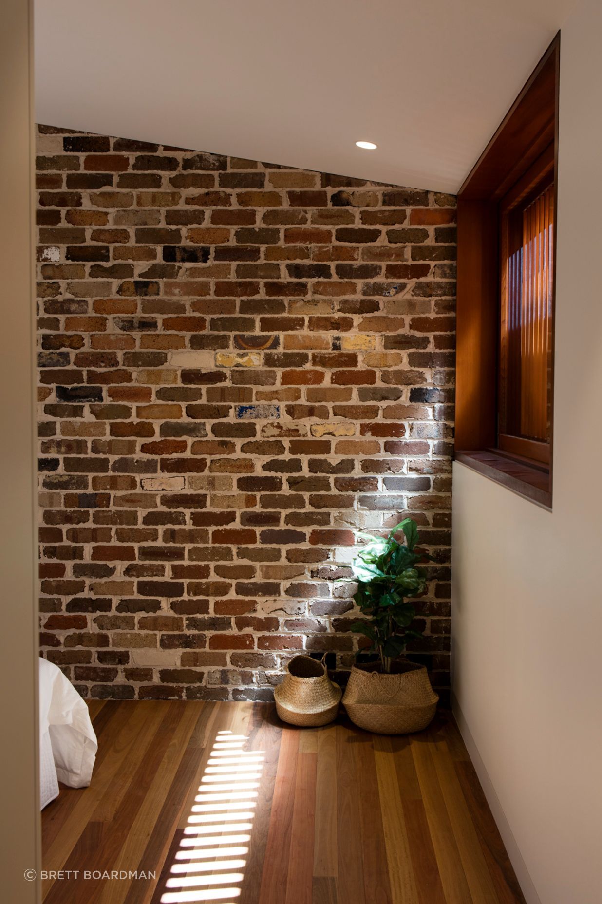 Truss House by Carter Williamson Architects | ArchiPro AU