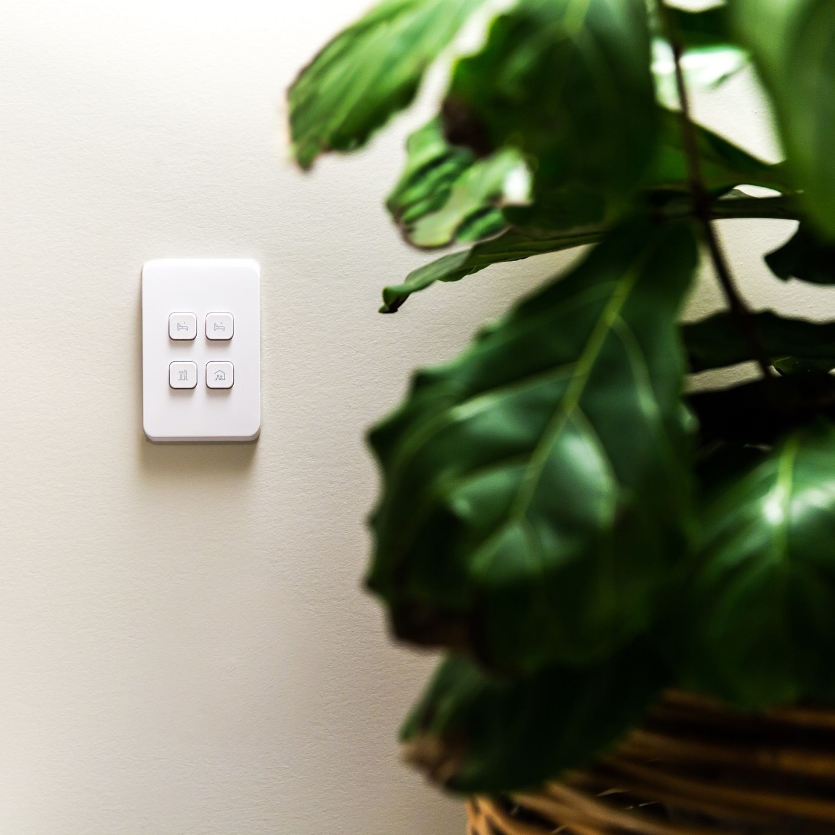 Clipsal Iconic | Switches & Power Points | ArchiPro AU