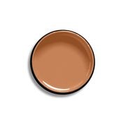 Resene Light Tan | ArchiPro AU