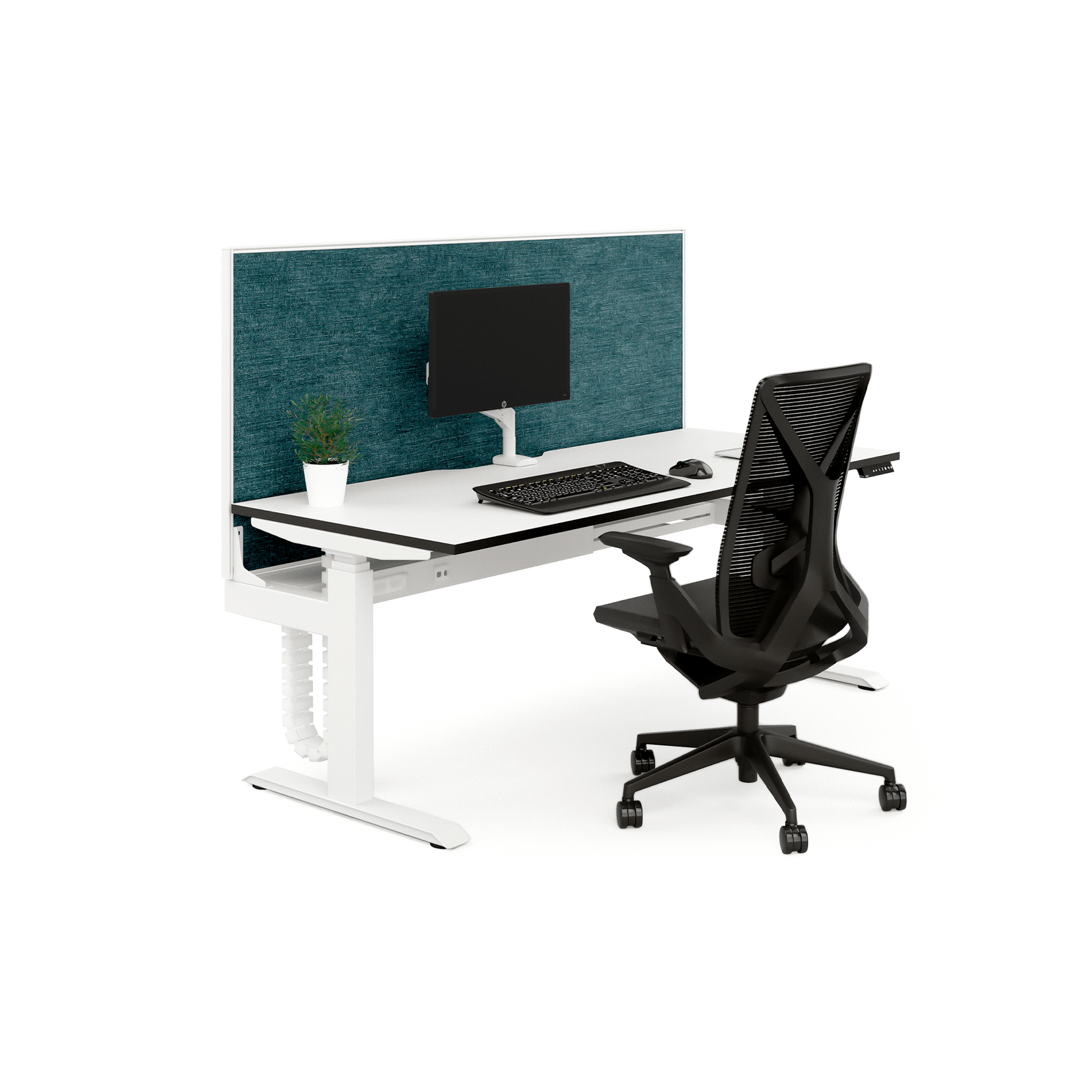 Motion Rectangular | ArchiPro AU