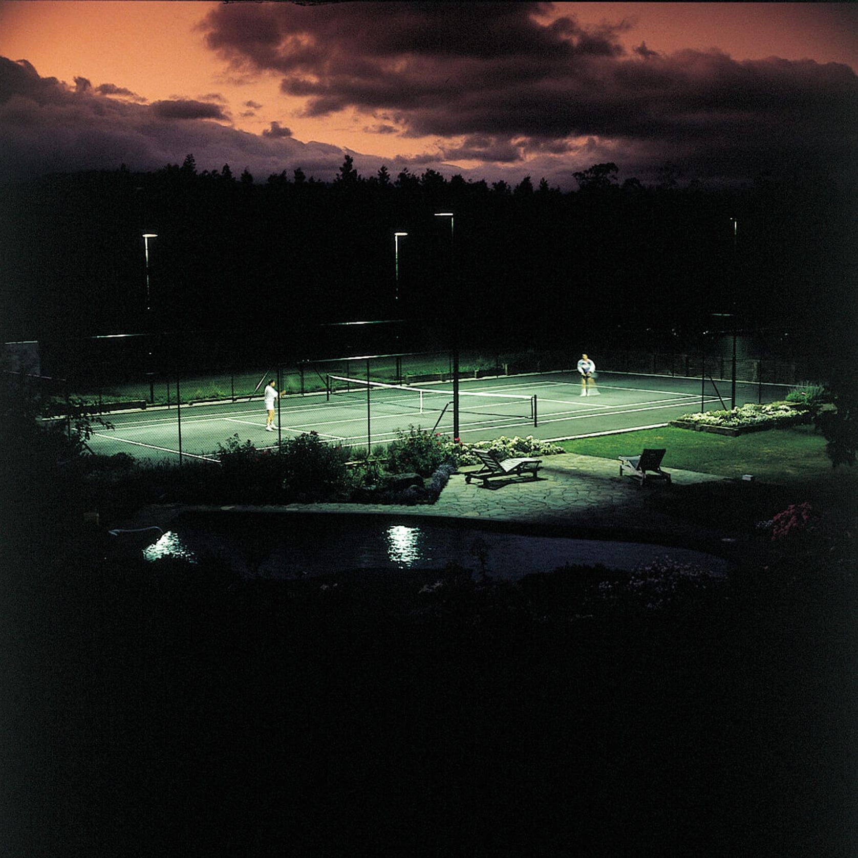 Volley Pro Artificial Grass | ArchiPro AU