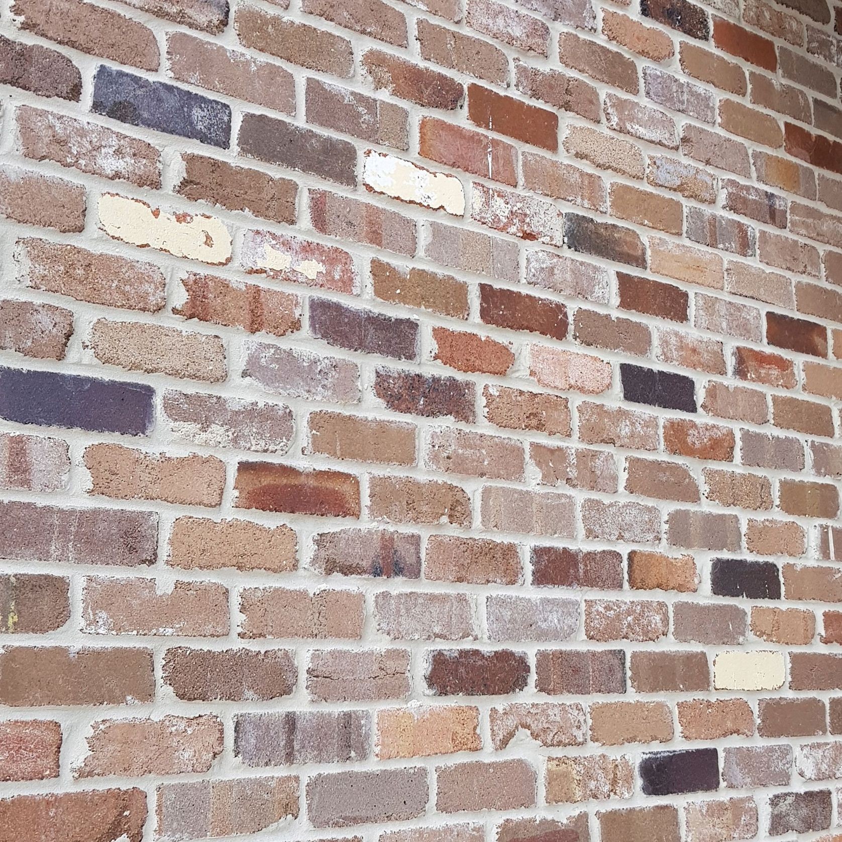 Feature Blends | ArchiPro AU