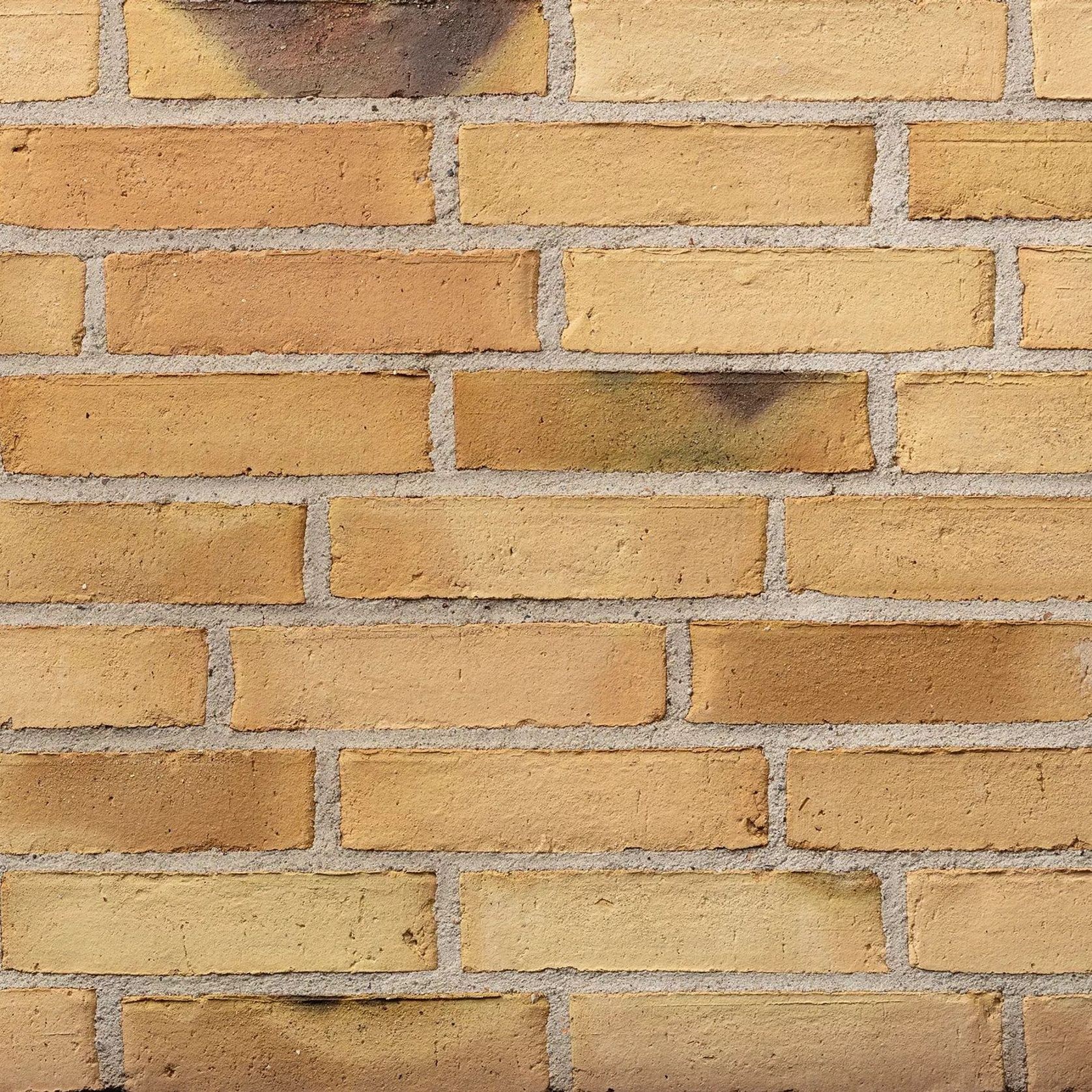 Petersen Danish Bricks | ArchiPro AU