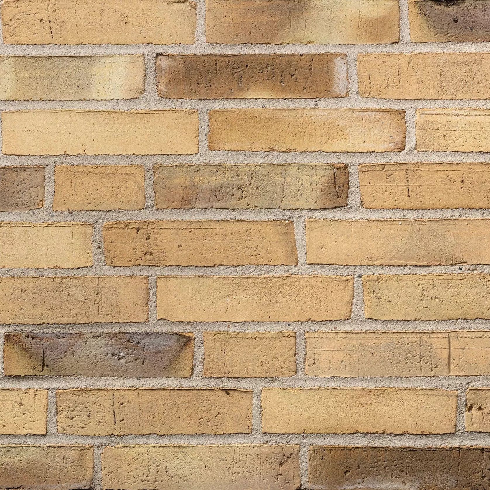 Petersen Danish Bricks | ArchiPro AU