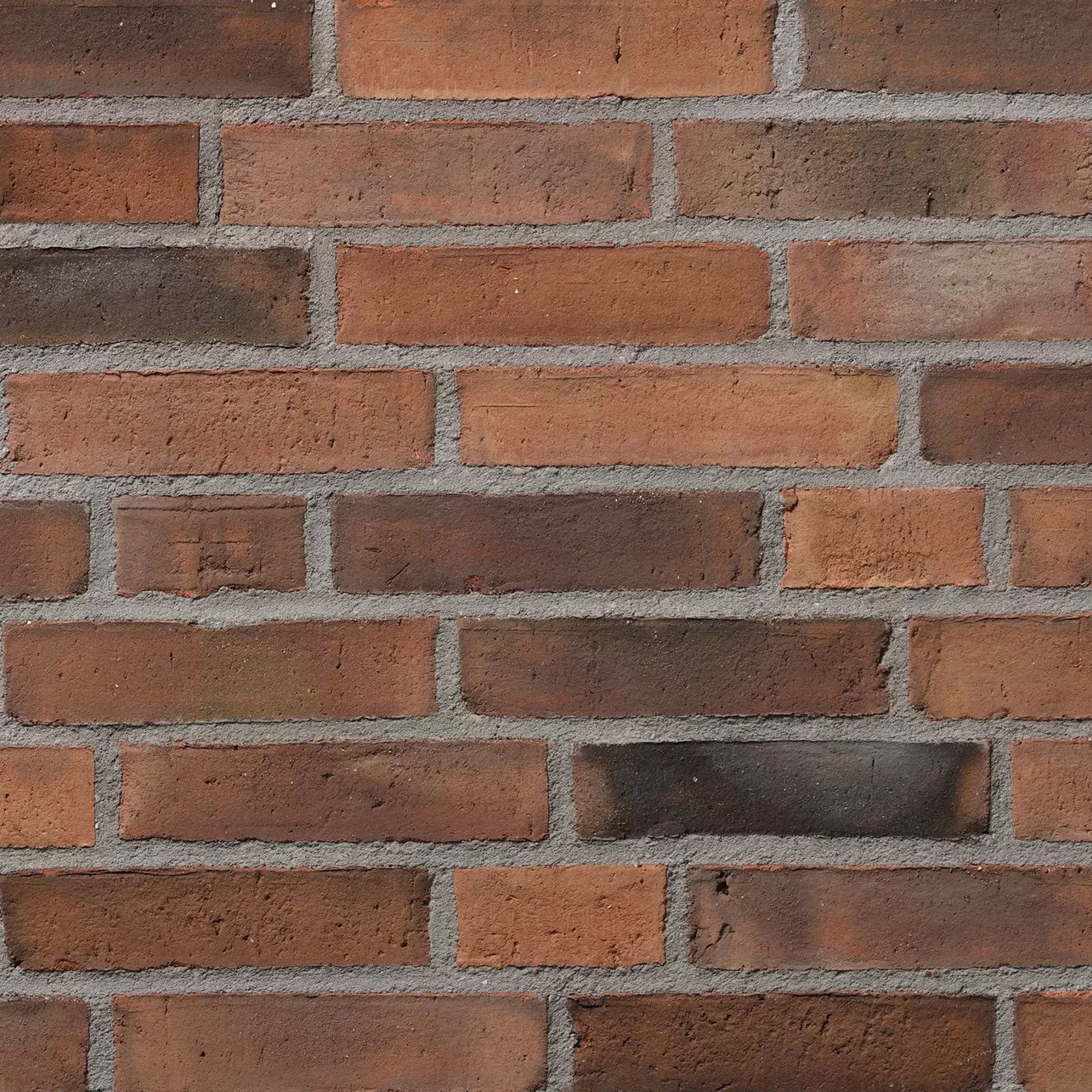 Petersen Danish Bricks | ArchiPro AU
