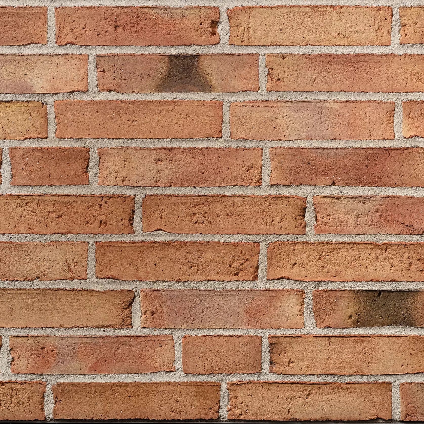 Petersen Danish Bricks | ArchiPro AU