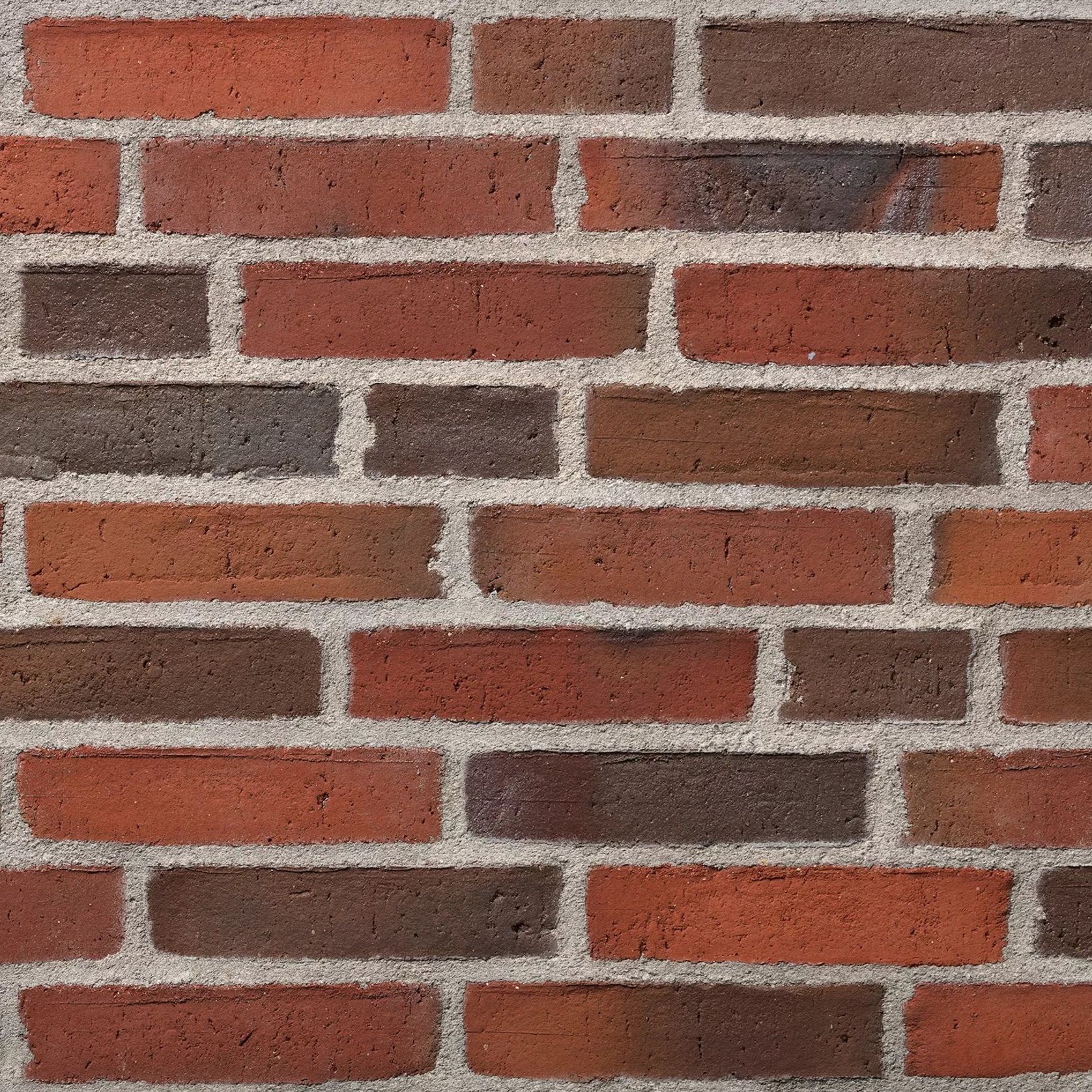 Petersen Danish Bricks | ArchiPro AU