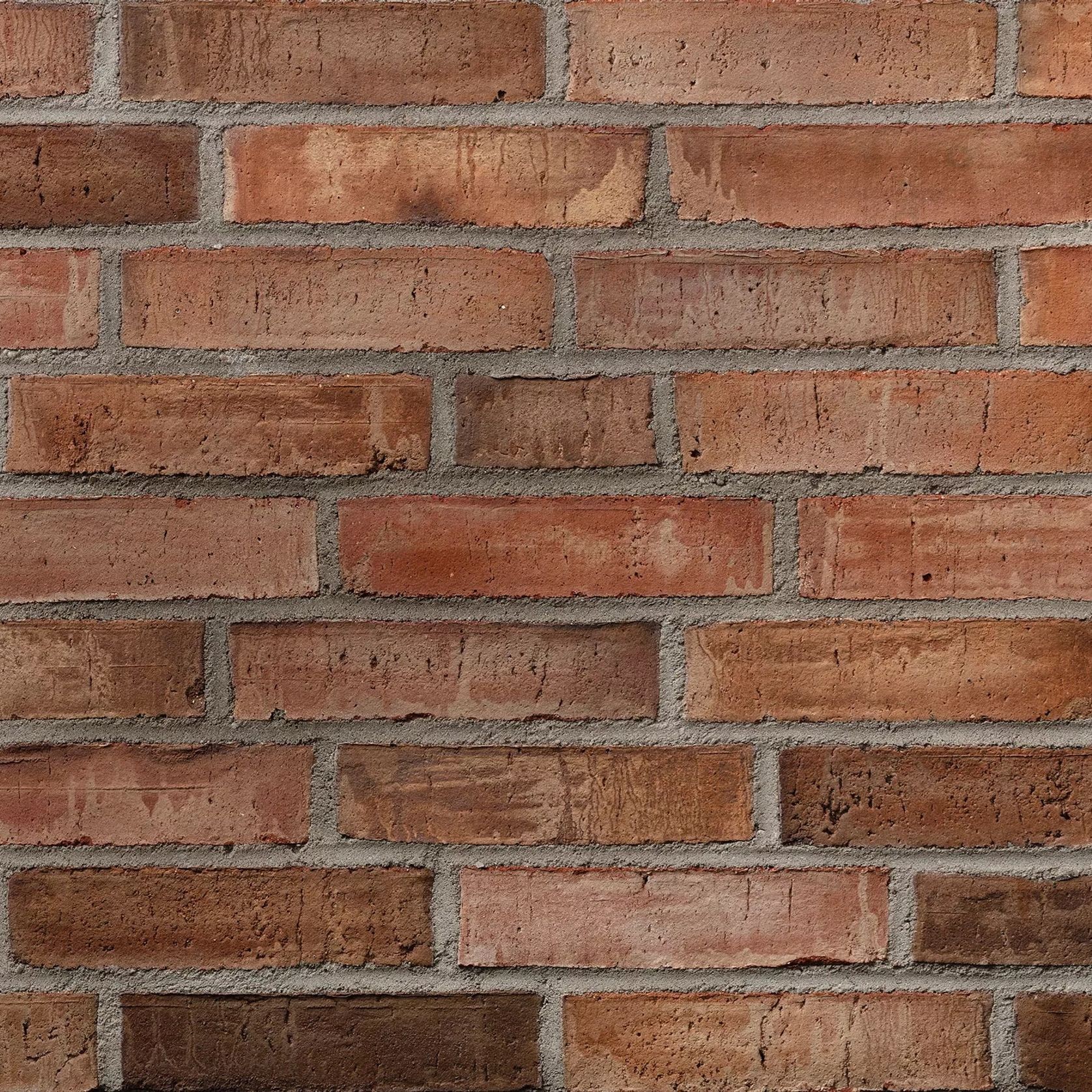 Petersen Danish Bricks | ArchiPro AU