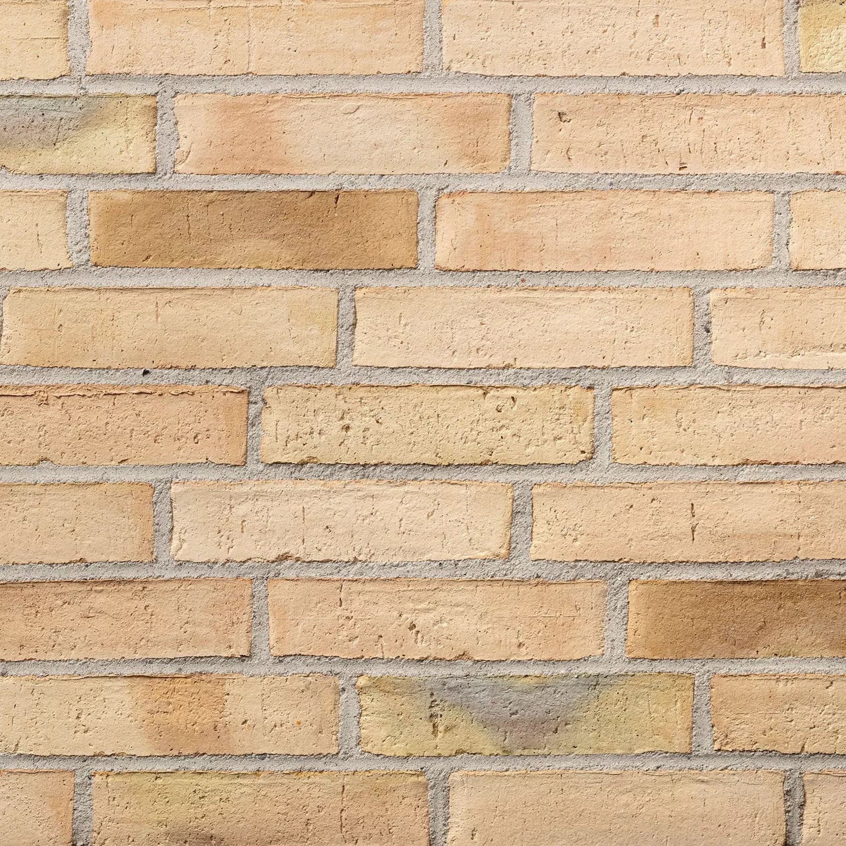 Petersen Danish Bricks | ArchiPro AU