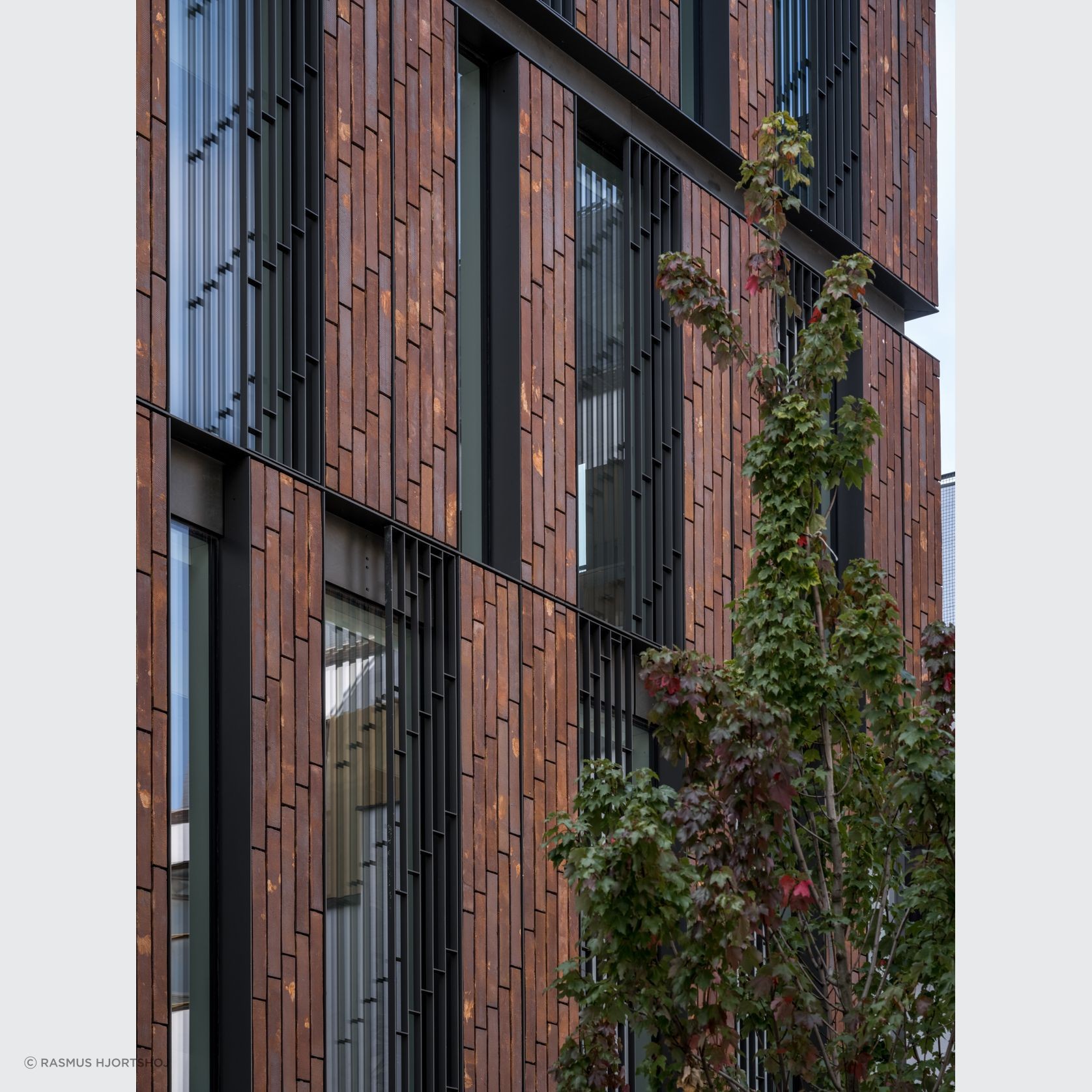 Petersen Custom Bricks | ArchiPro AU