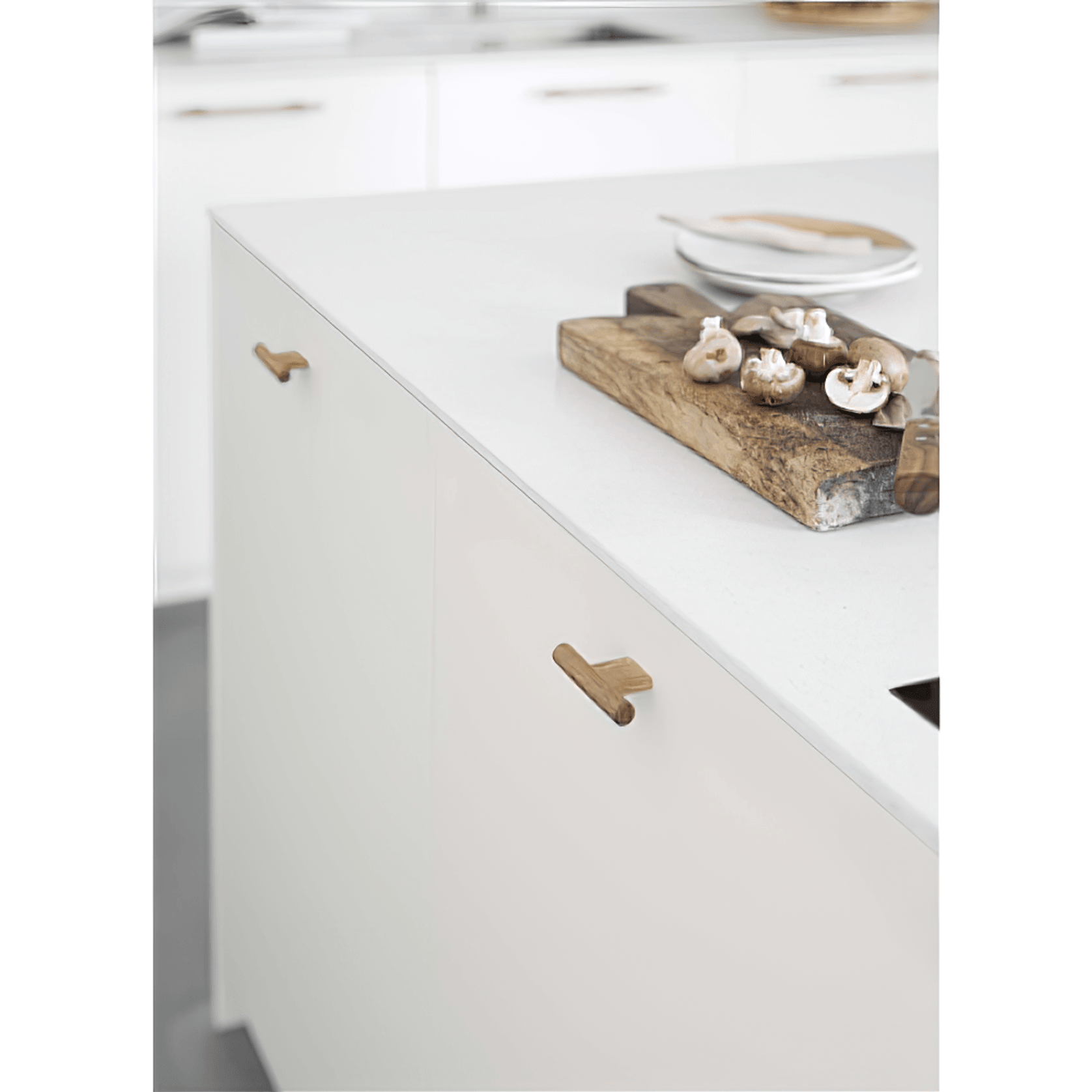 Furnipart Join Knob 80mm Oak Lacquered | ArchiPro AU
