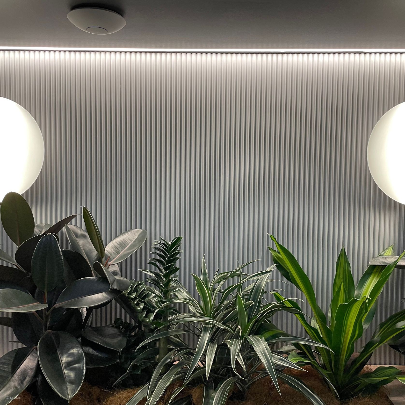 Pitted Flautas Raw 3D Panel | ArchiPro AU