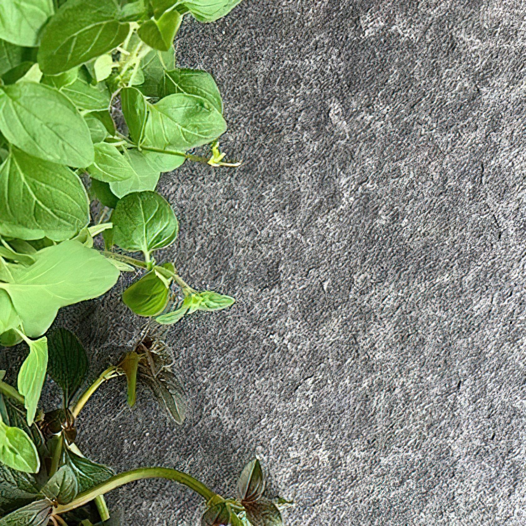 Bluestone Nebula Basalt | ArchiPro AU