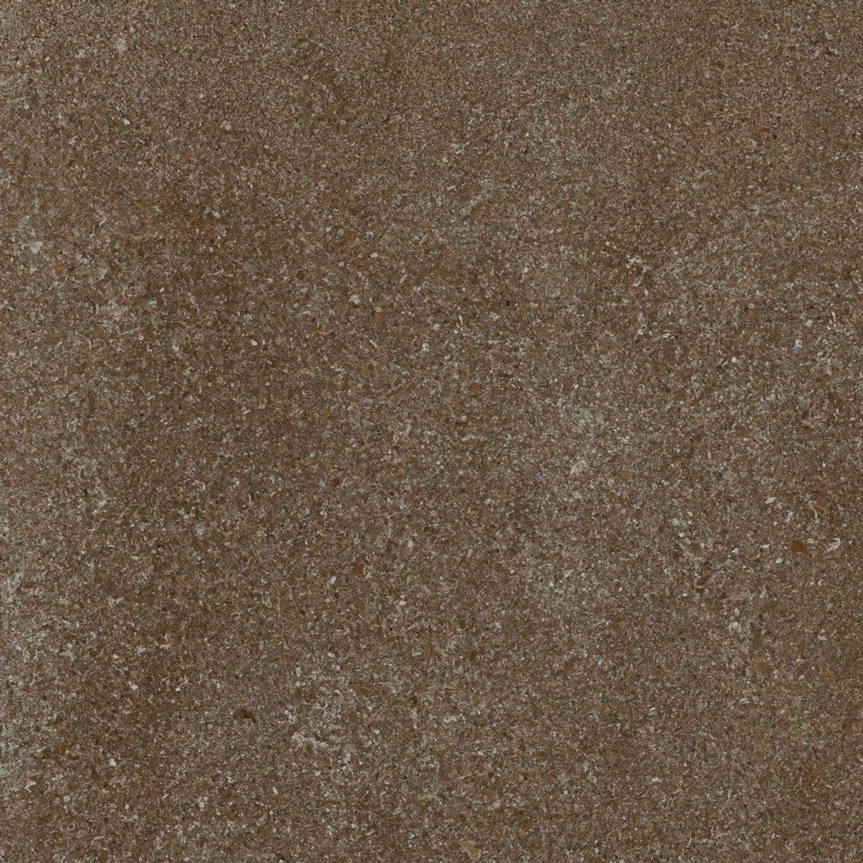 Area Pro | Porcelain Tiles | ArchiPro AU