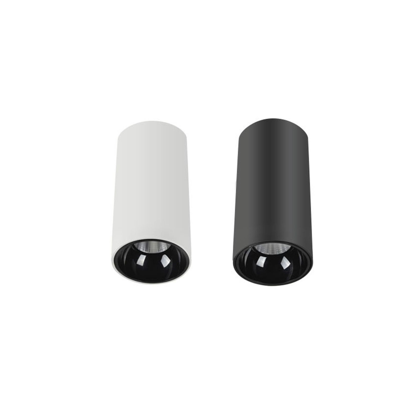 Exterior IP65 Surface Mounted Downlight | ArchiPro AU