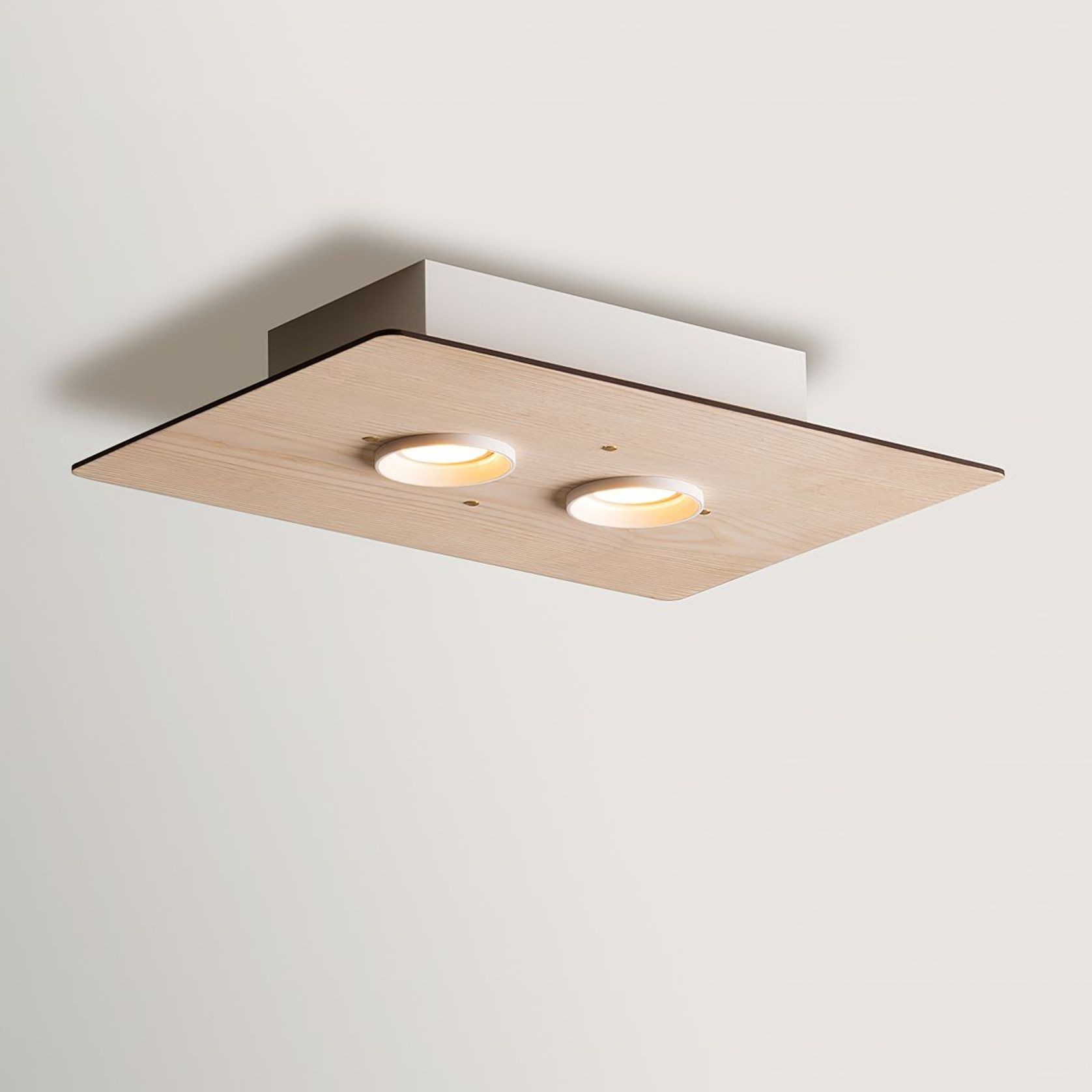 Equal Twin Ceiling Light | ArchiPro AU