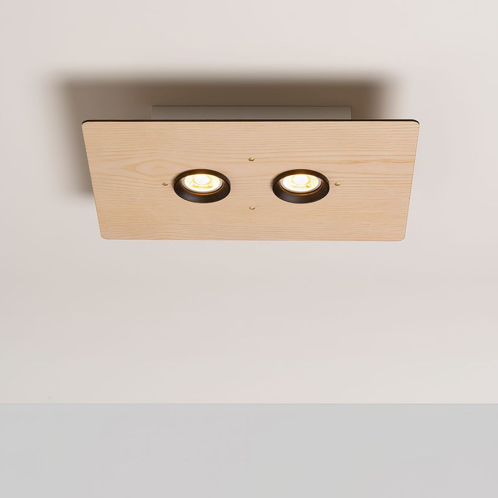 Equal Twin Ceiling Light | ArchiPro AU