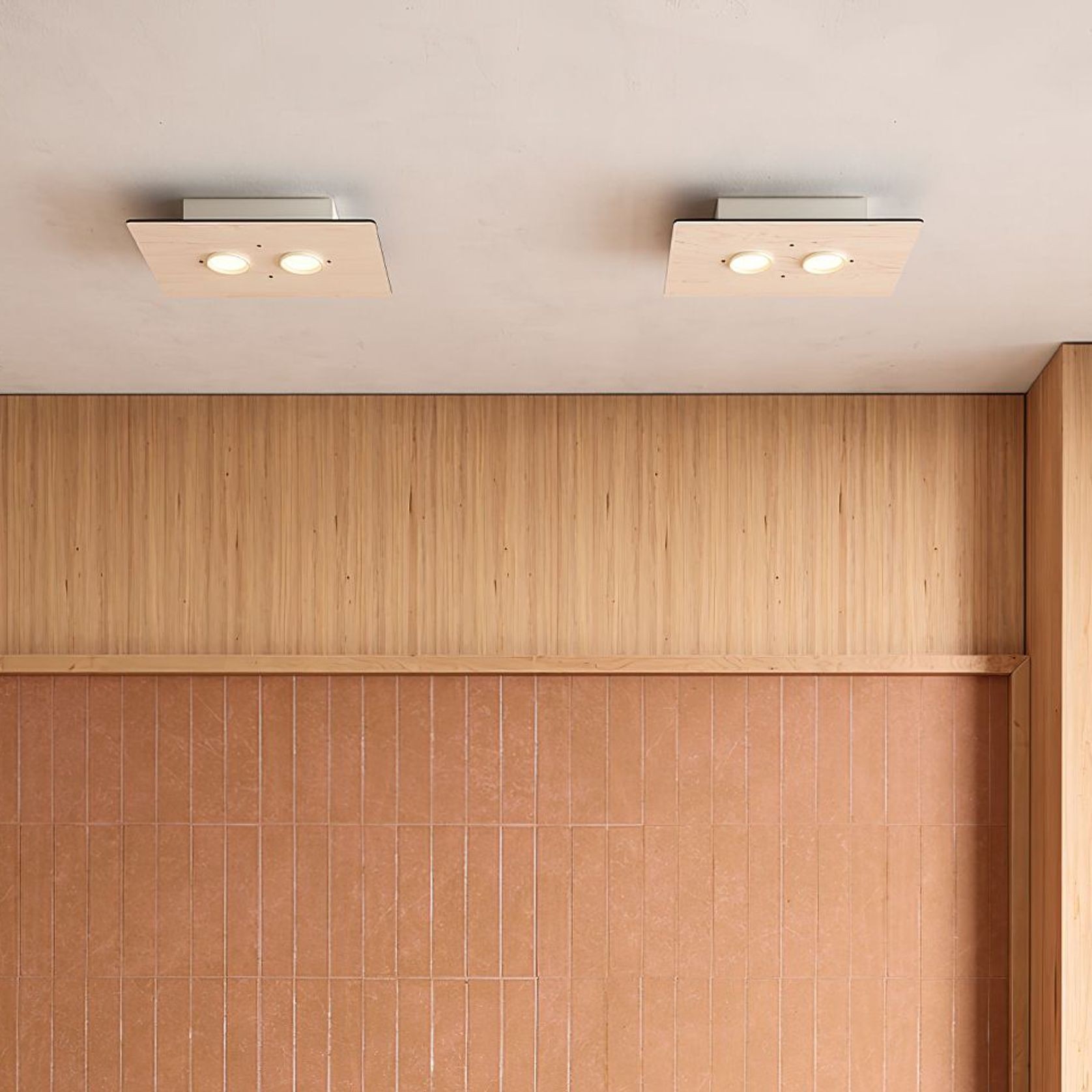 Equal Twin Ceiling Light | ArchiPro AU