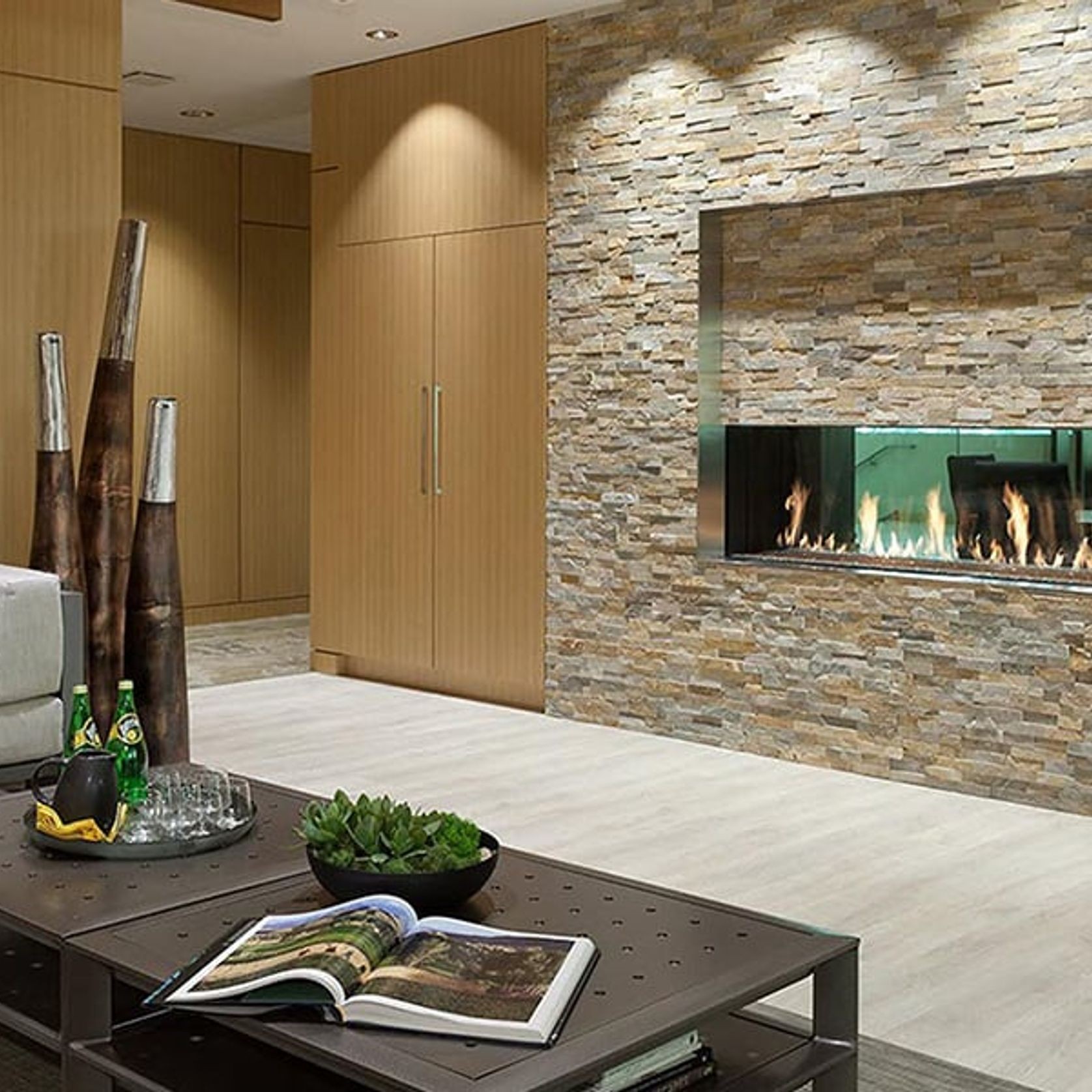 Davinci See Thru Gas Fireplace | ArchiPro AU
