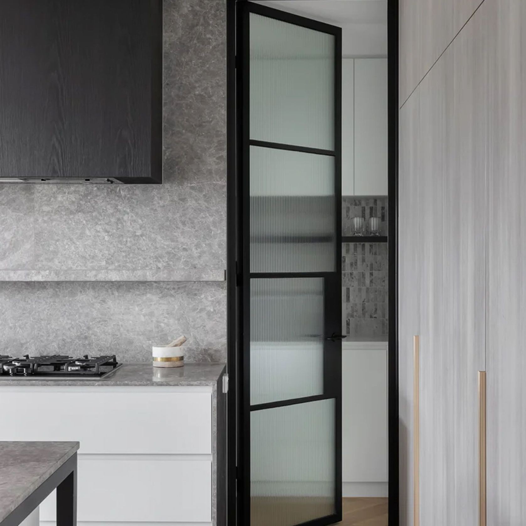 Steel Frame Glass Hinge Doors - Galvanised FPS50 | ArchiPro AU