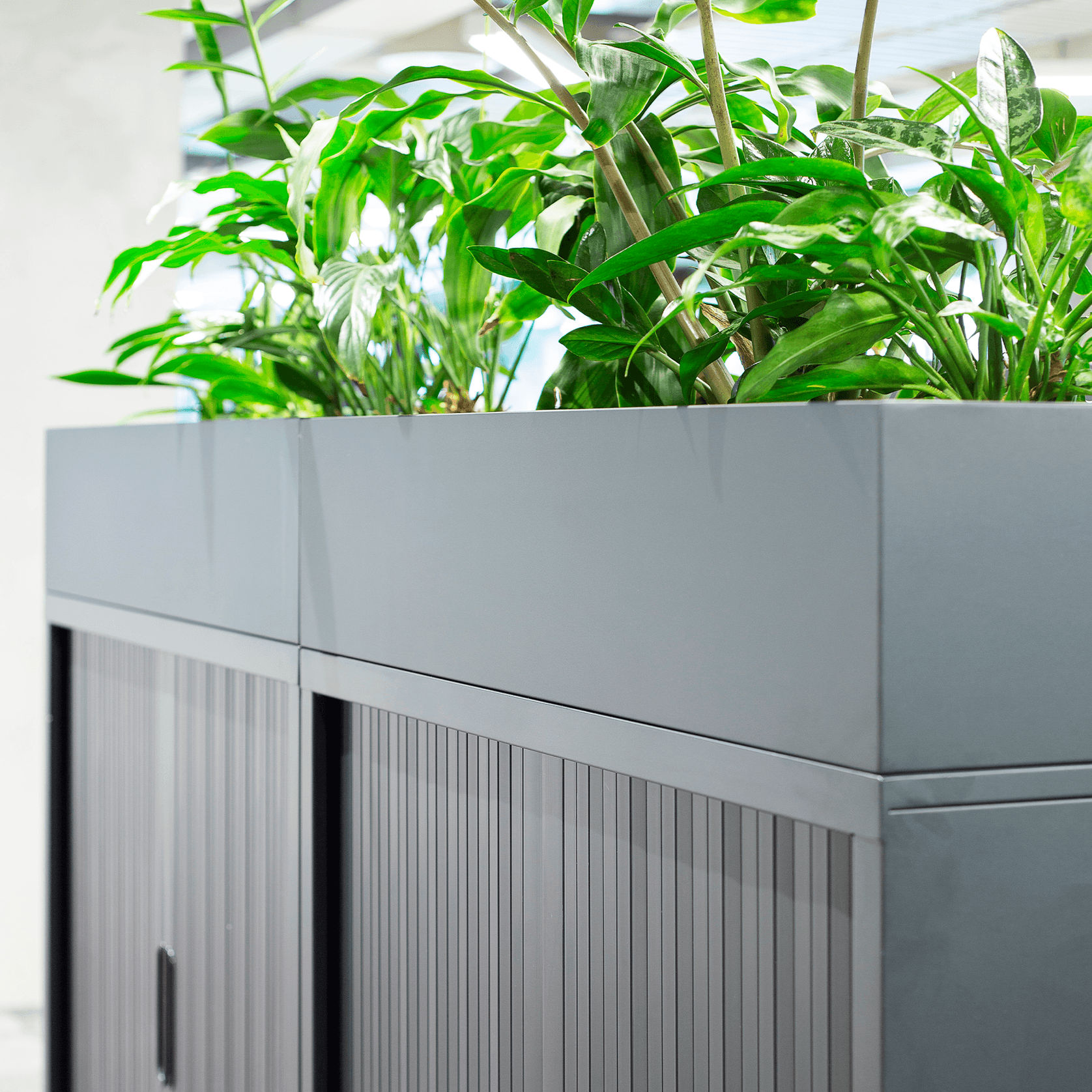 Harmony Steel Planter | ArchiPro AU