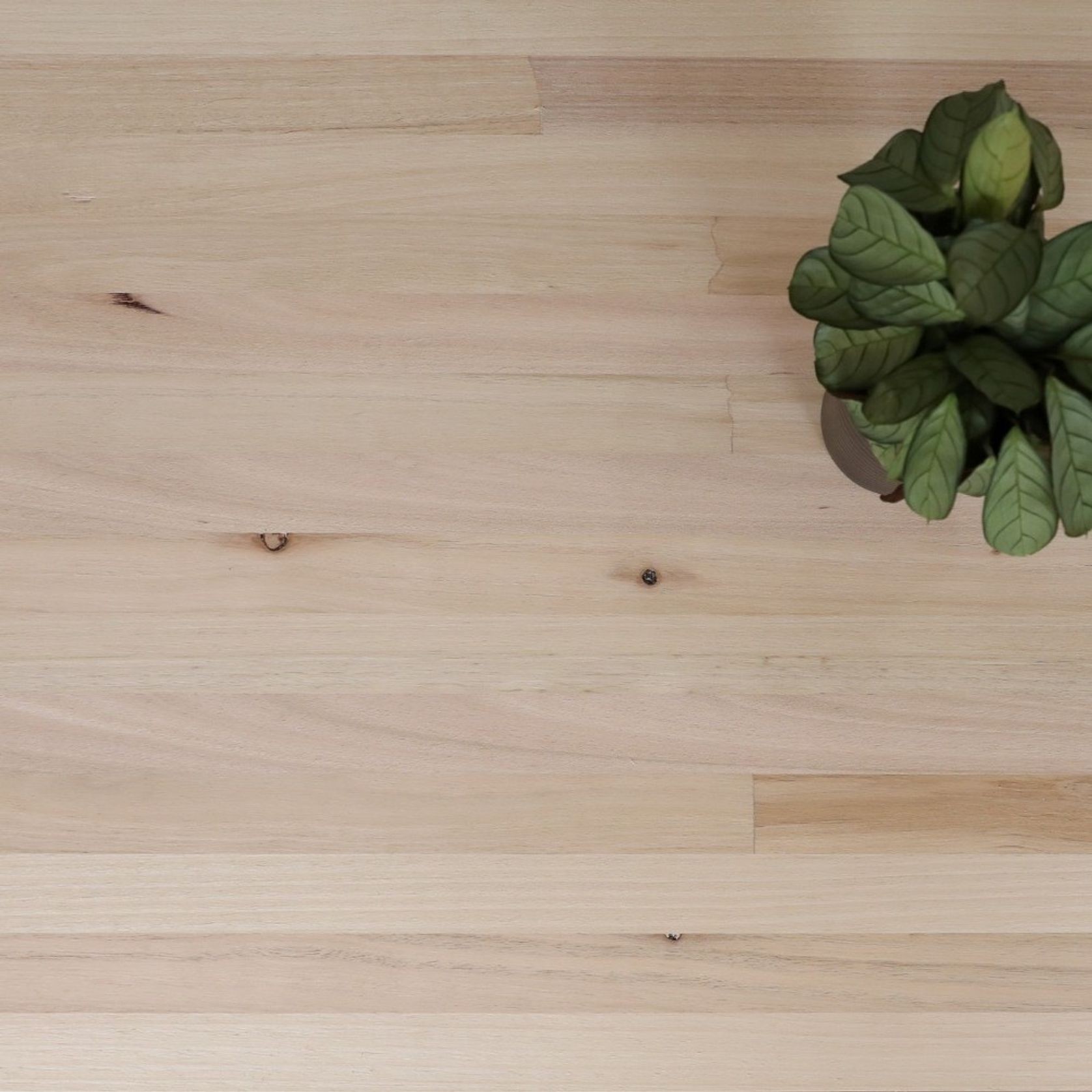 Timber Benchtops & Panels | ArchiPro AU