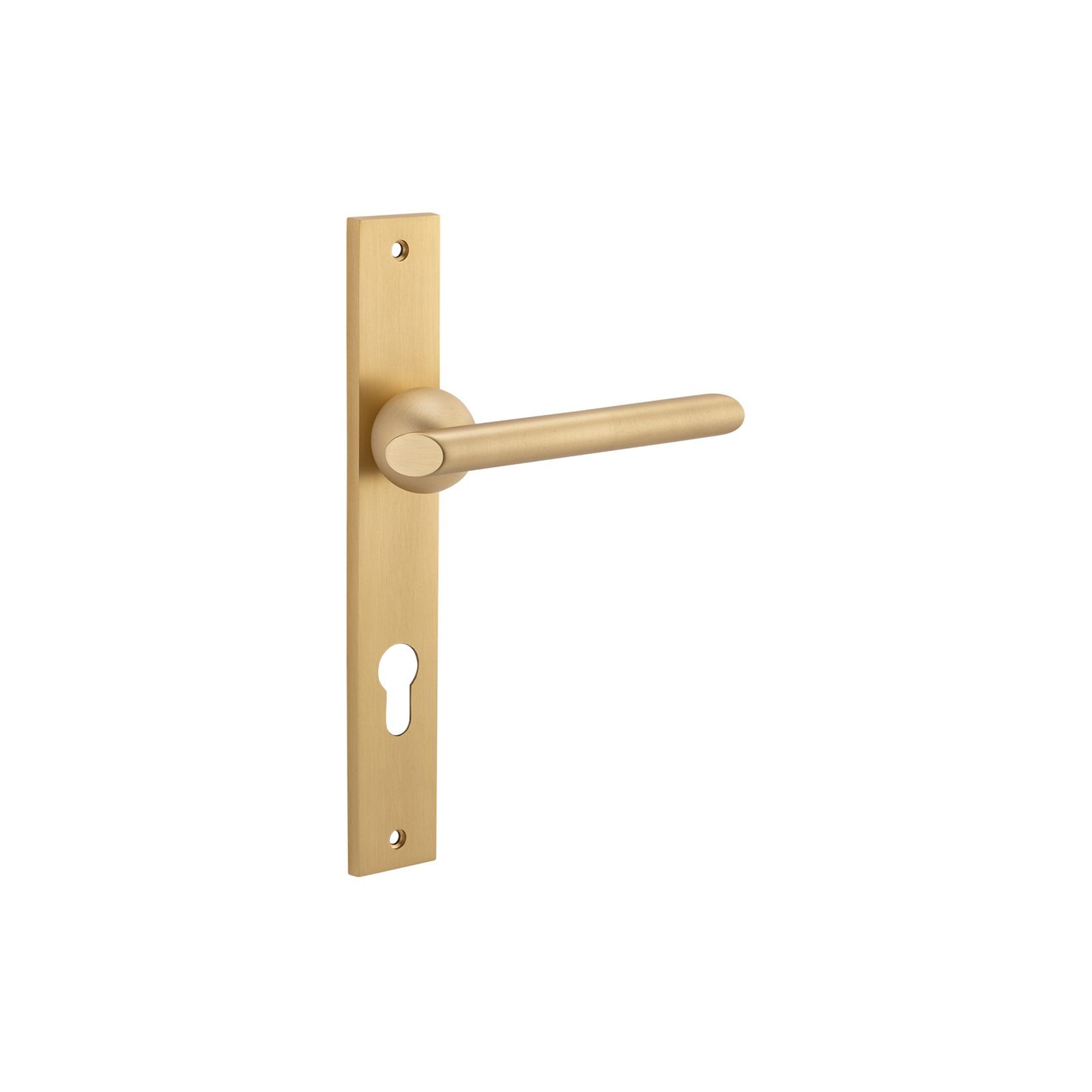 Bankston Sans Arc Futurismo Door Lever Handle | ArchiPro AU
