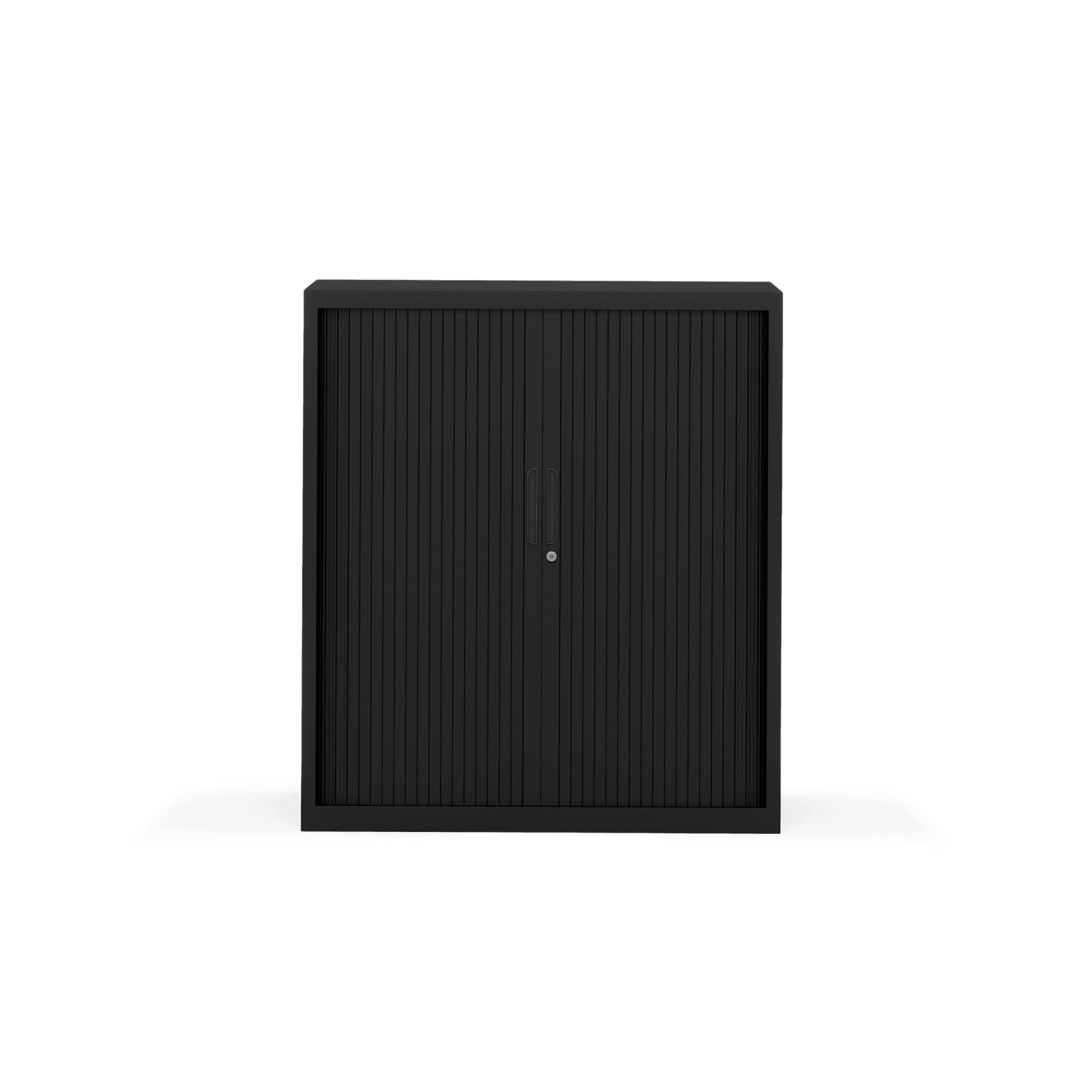 Harmony Steel Tambour Door | ArchiPro AU