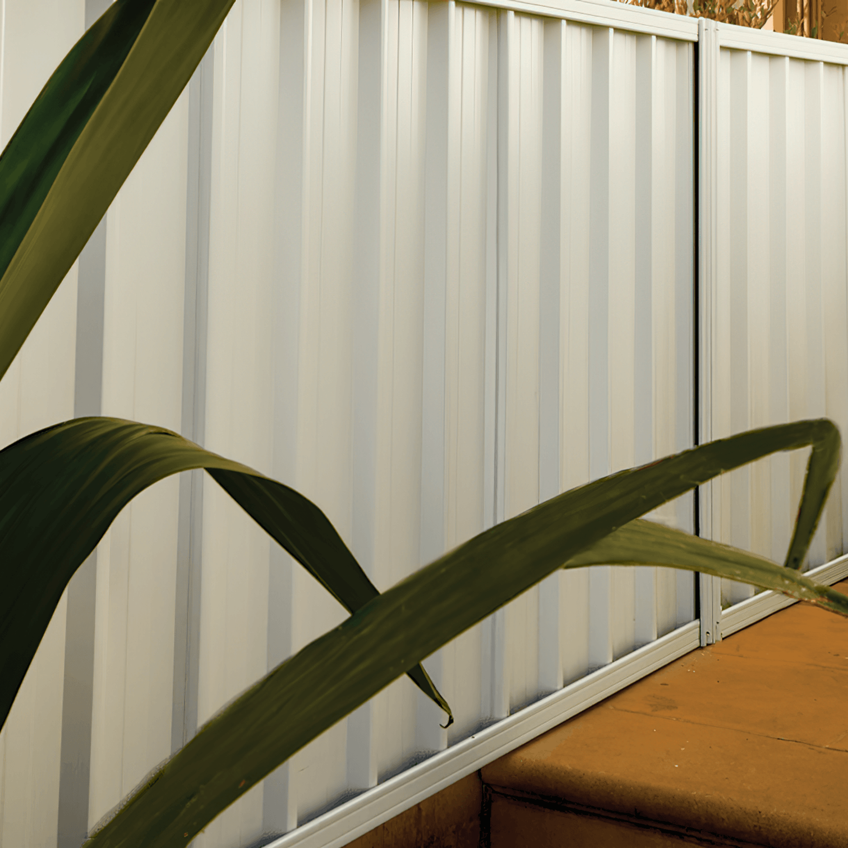 Trimclad Colorbond® Fencing | ArchiPro AU