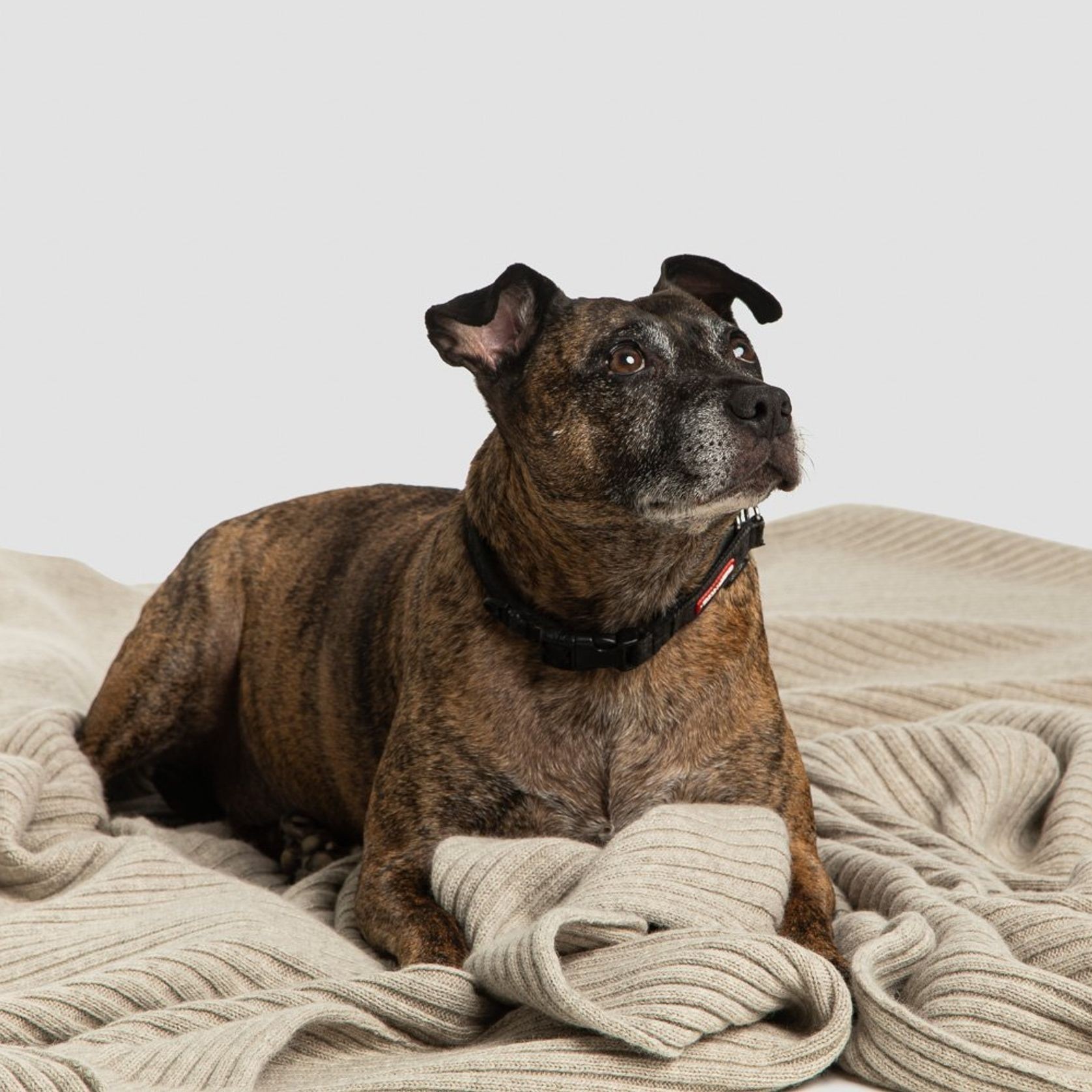 Wide Rib Angora & Merino Wool Blankets | ArchiPro AU