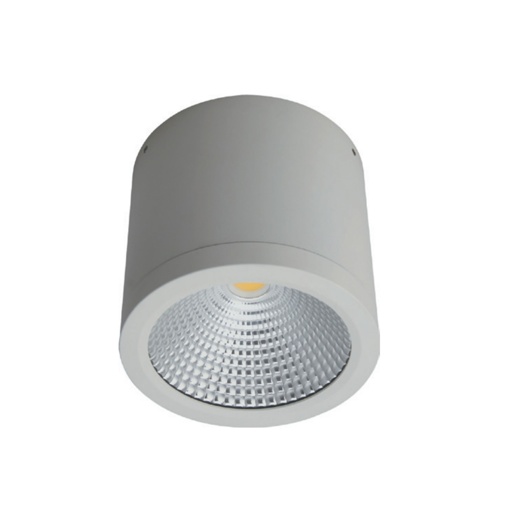 LED Surface Mounted Can Light 25W | ArchiPro AU