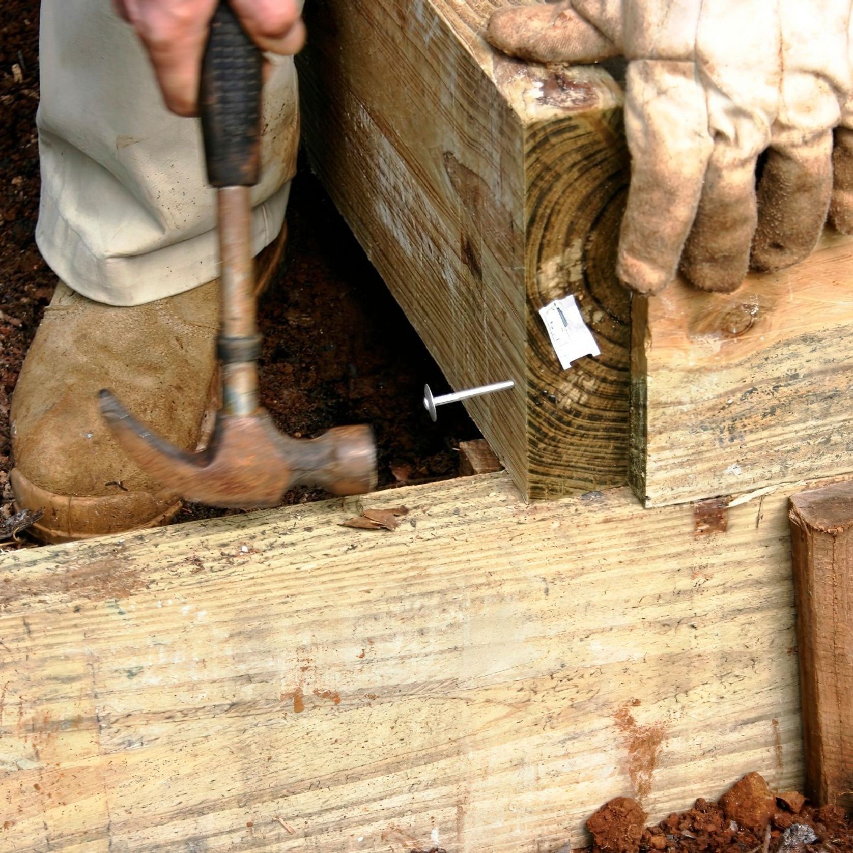 Landscaping & Structural Timber | ArchiPro AU