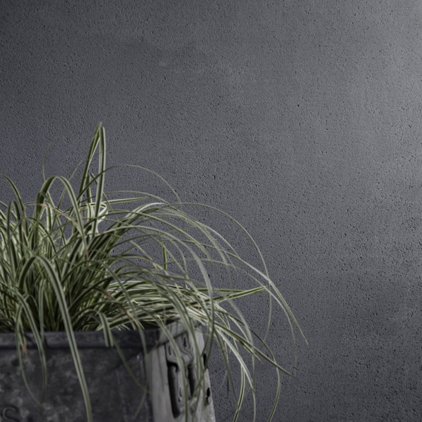 River Clay | ArchiPro AU