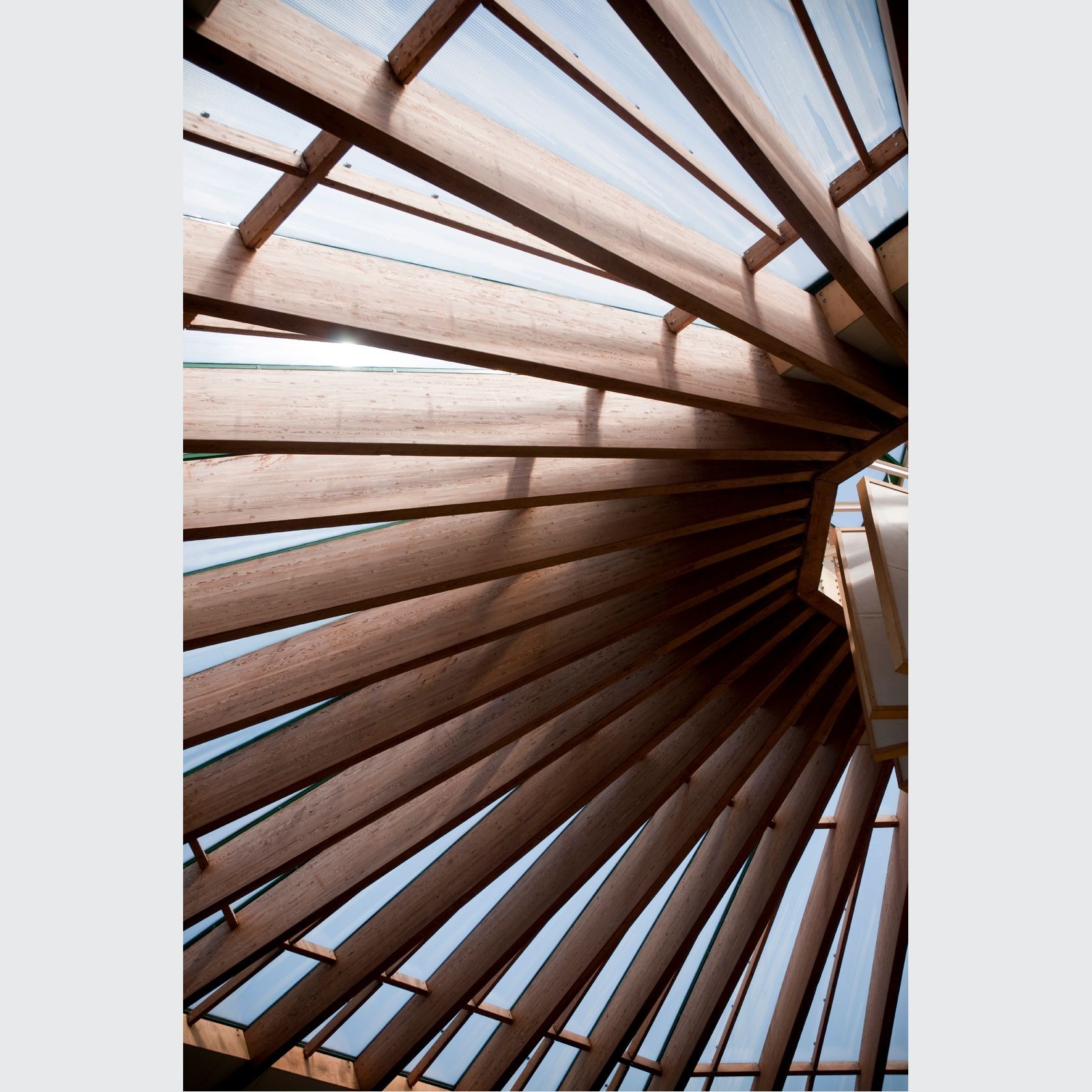 Landscaping & Structural Timber | ArchiPro AU