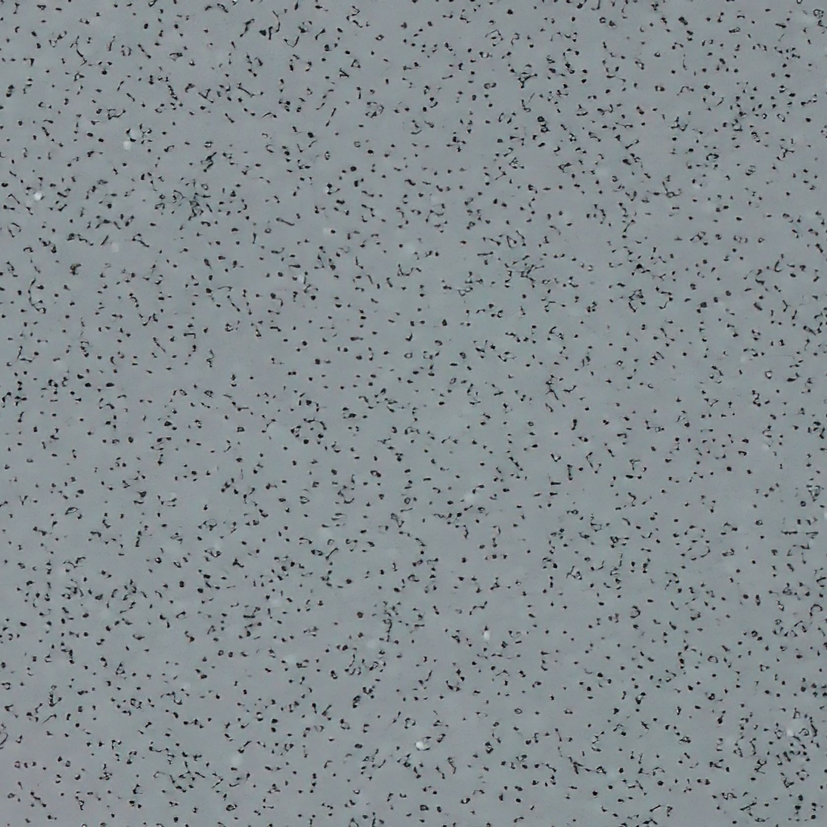 Altro Stronghold™ 30 Adhesive–Free - R12 Flooring | ArchiPro AU