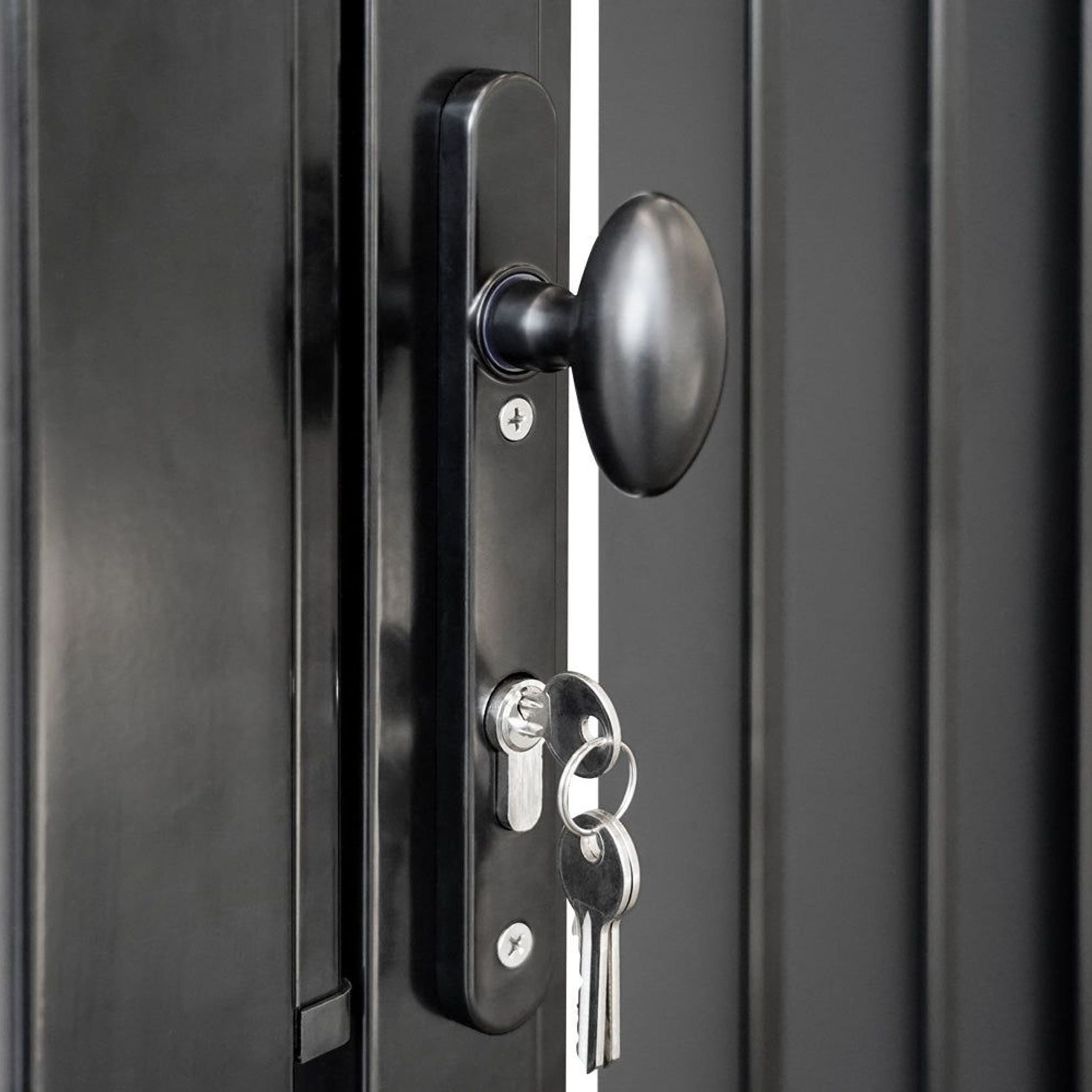 Aluminium Blade Gate | ArchiPro AU