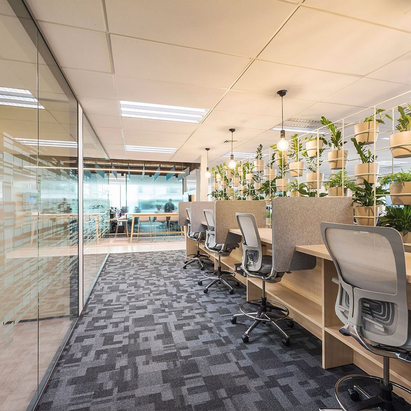 Cove Acoustic Office Desk Dividers | ArchiPro AU