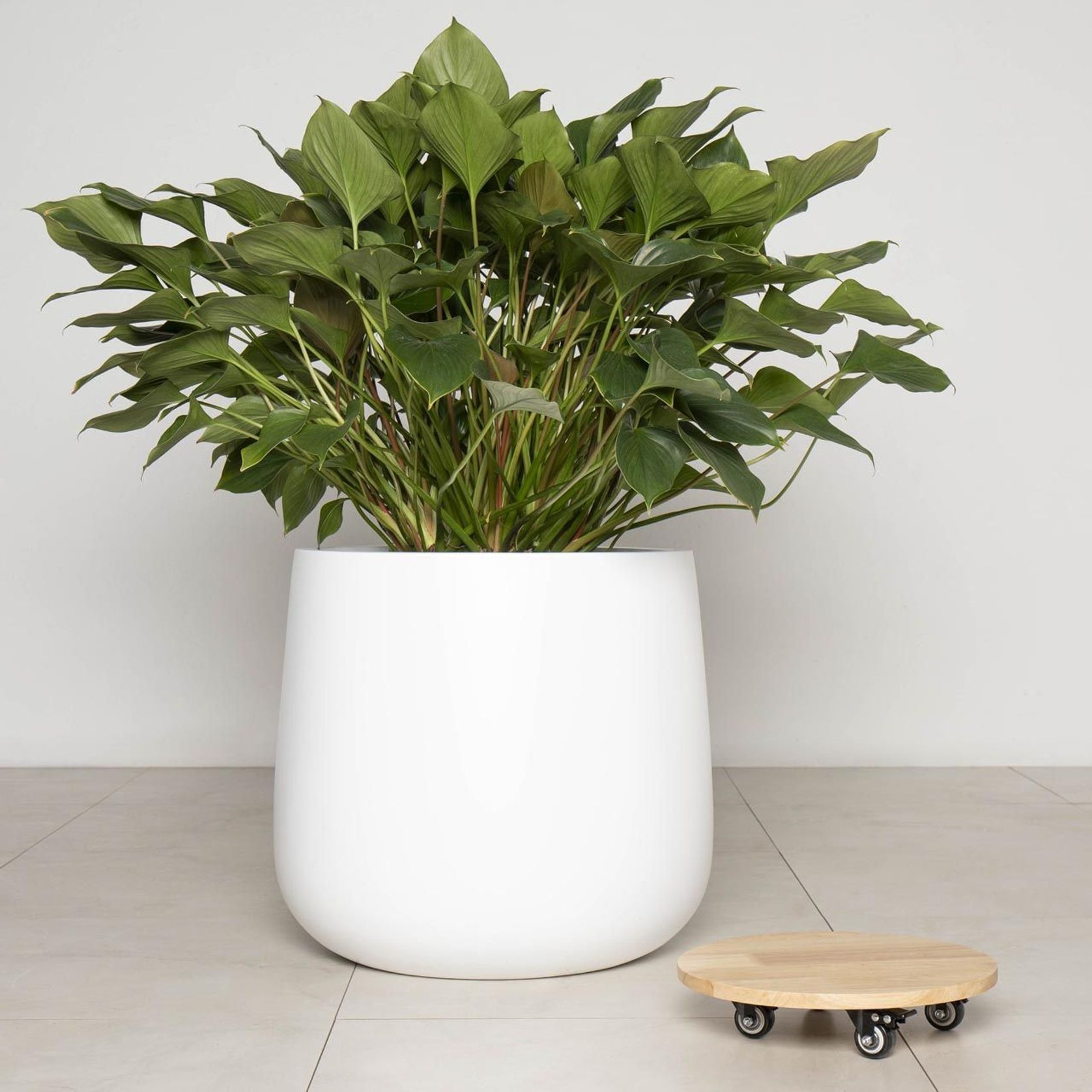 Planter Dolly | ArchiPro AU