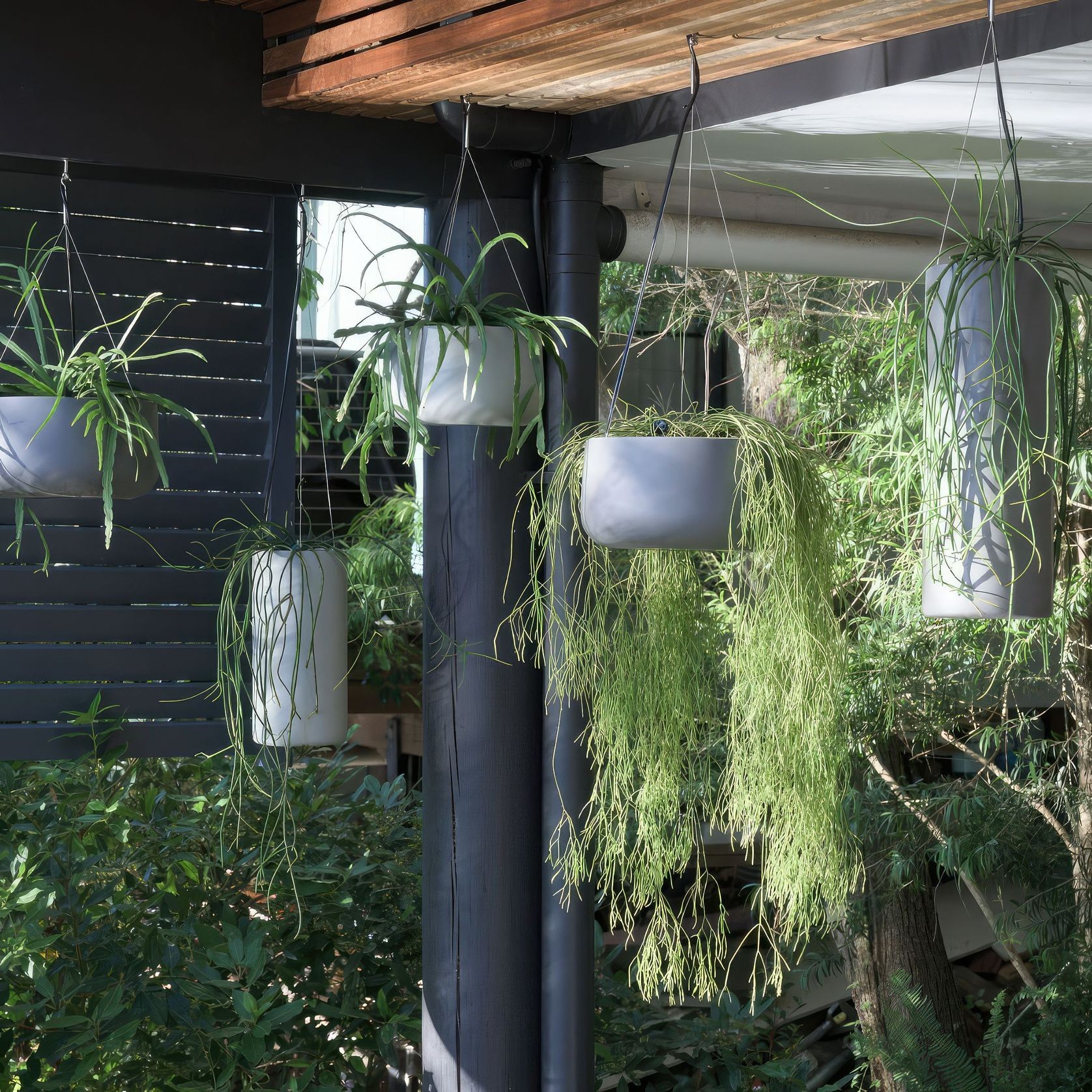 Hibernate 90 Degrees Tall Hanging - Clay | ArchiPro AU