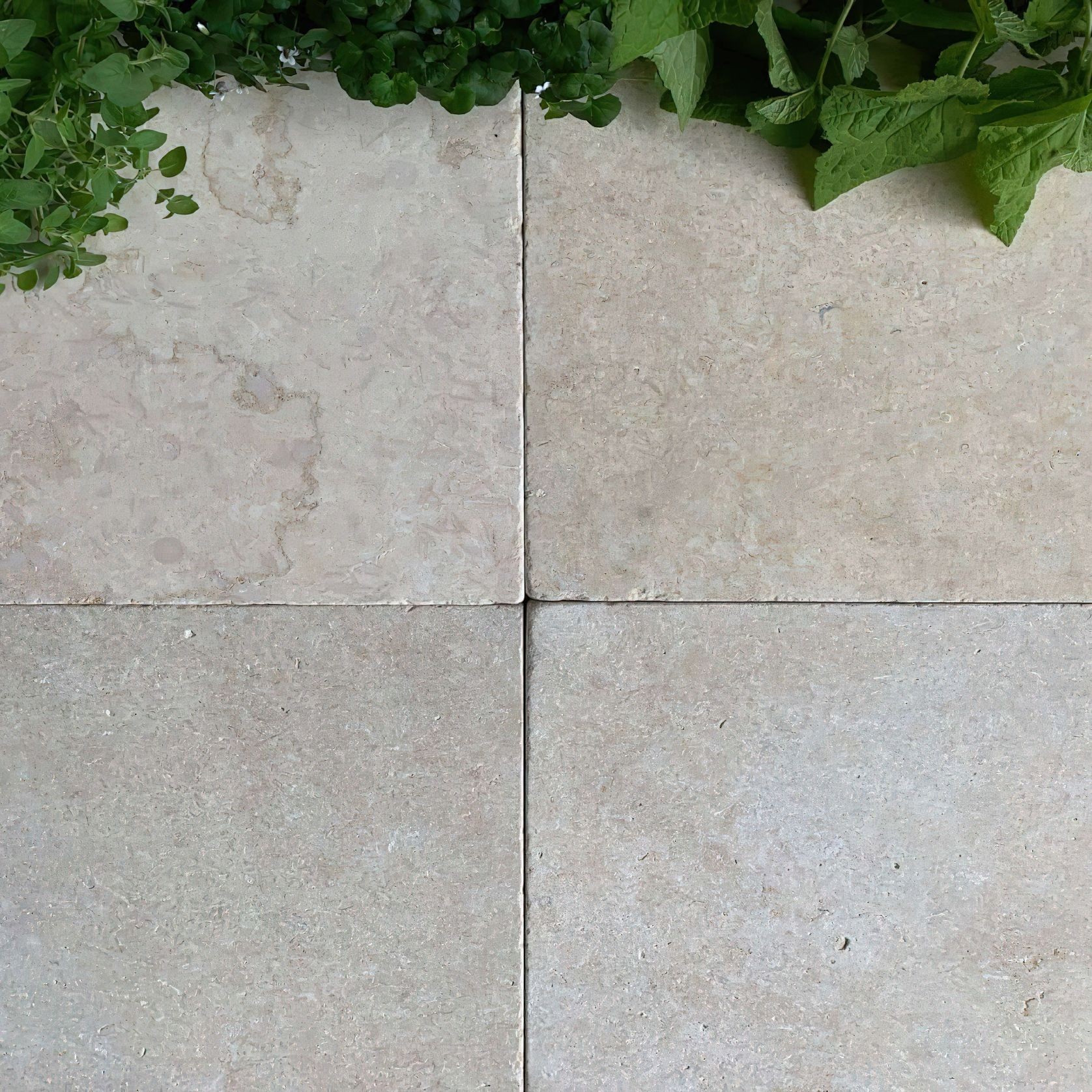 Cream Limestone | ArchiPro AU