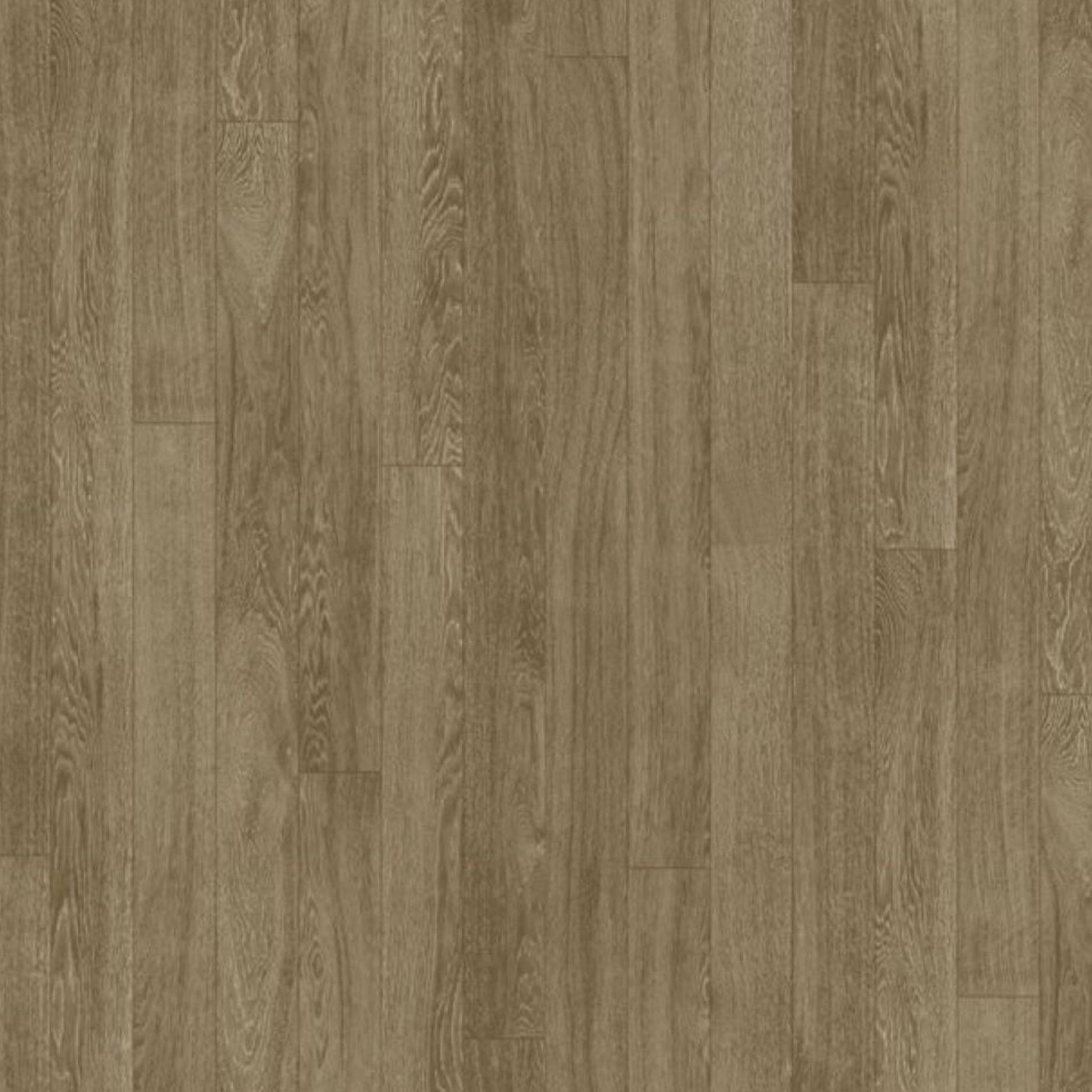 Timberline Plus | Like a Rock Plus | ArchiPro AU