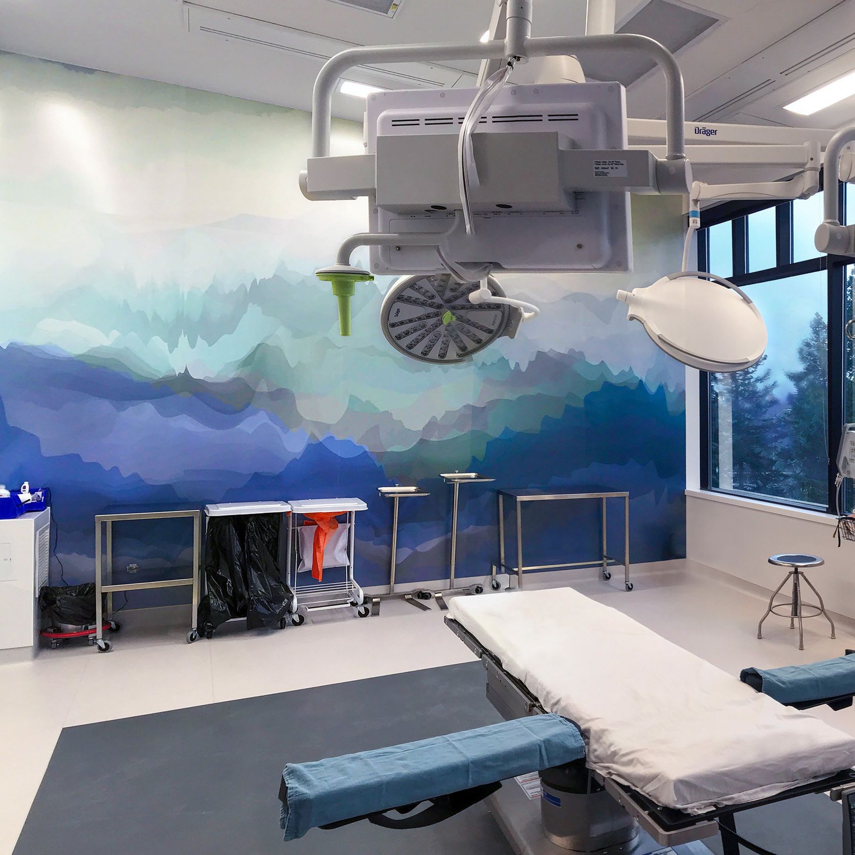 Altro Whiterock Digiclad™ Custom Printed Hygienic Wall Lining | ArchiPro AU