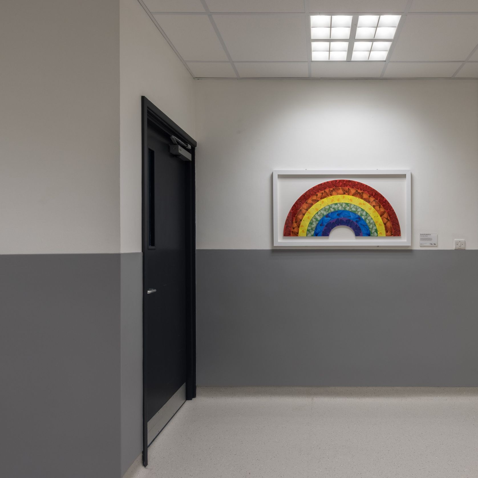 Altro Fortis Titanium 15™ Wall Protection | ArchiPro AU