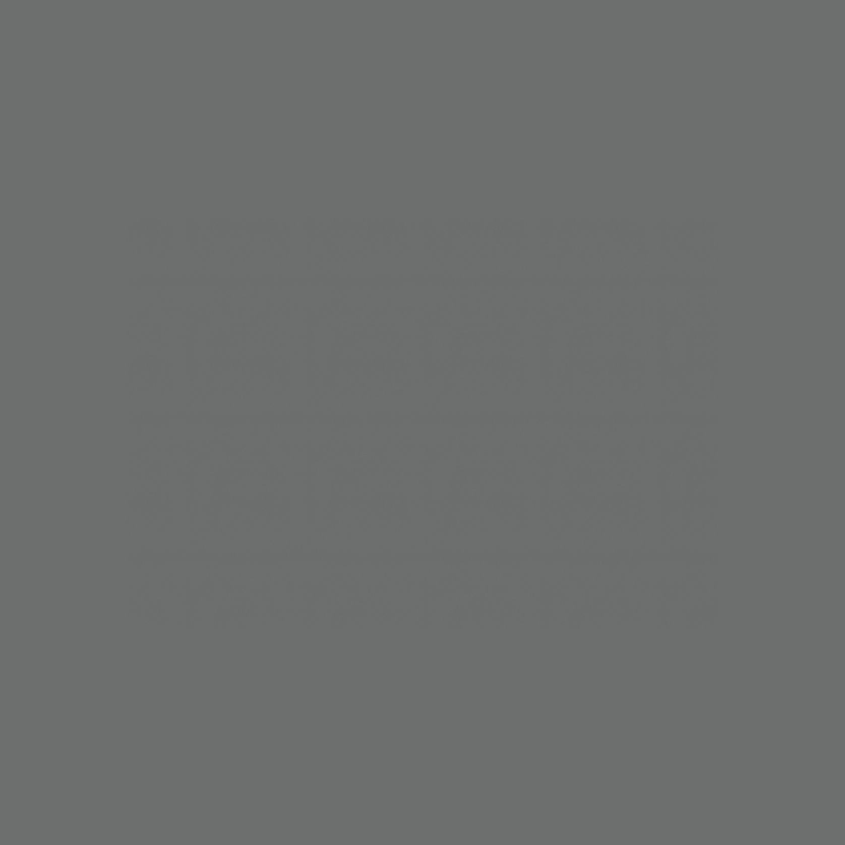 Altro Fortis Titanium 15™ Wall Protection | ArchiPro AU