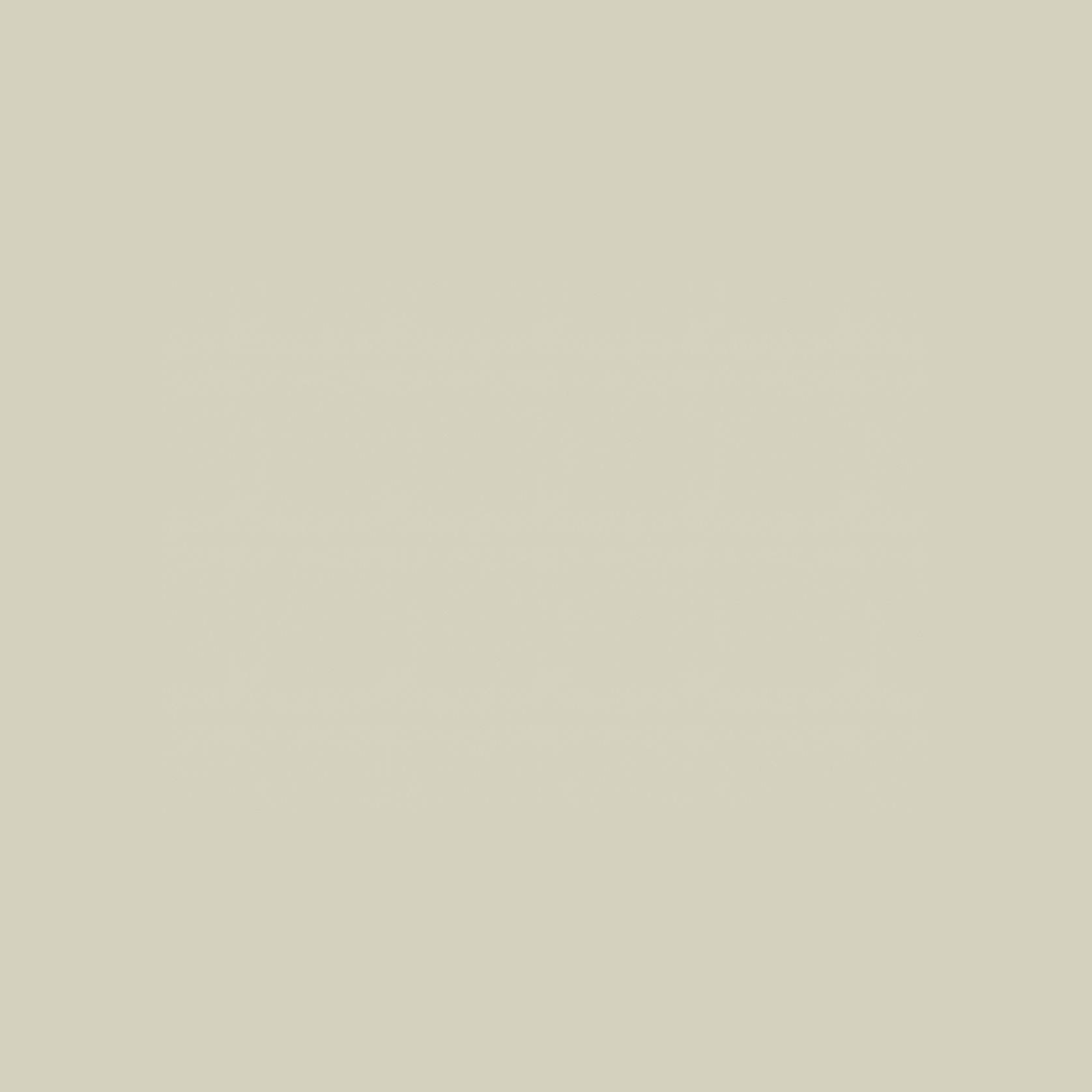 Altro Fortis Titanium 15™ Wall Protection | ArchiPro AU