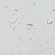 Pitted Concrete Half-Stonewashed Wall Panel | ArchiPro AU