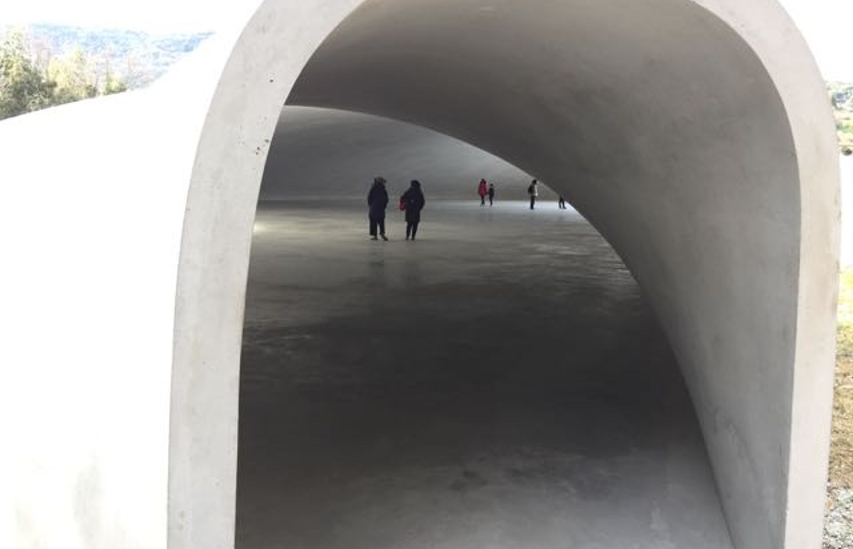 Teshima Art Museum | ArchiPro AU