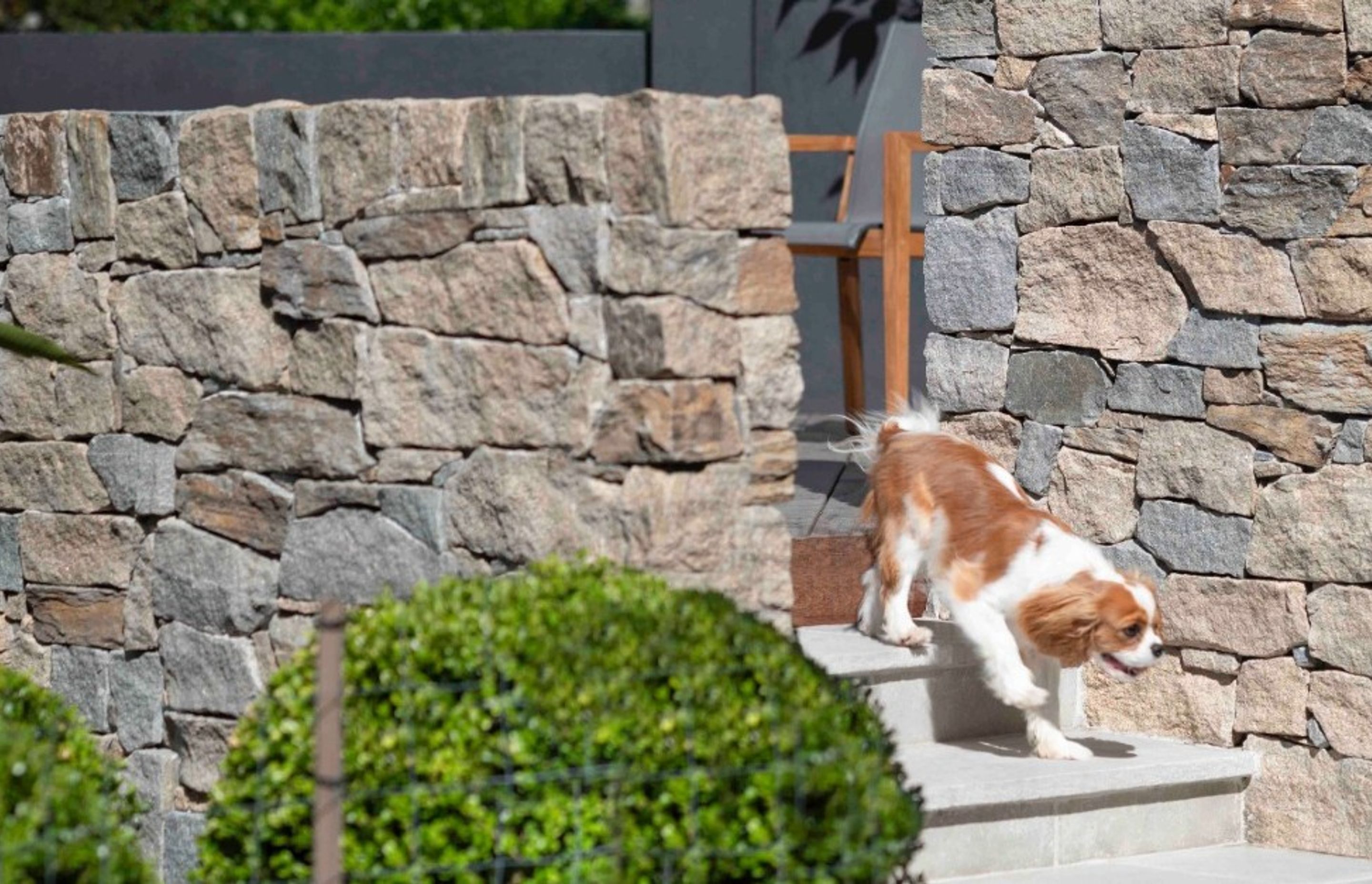 Feature Wall Inspiration | ArchiPro AU