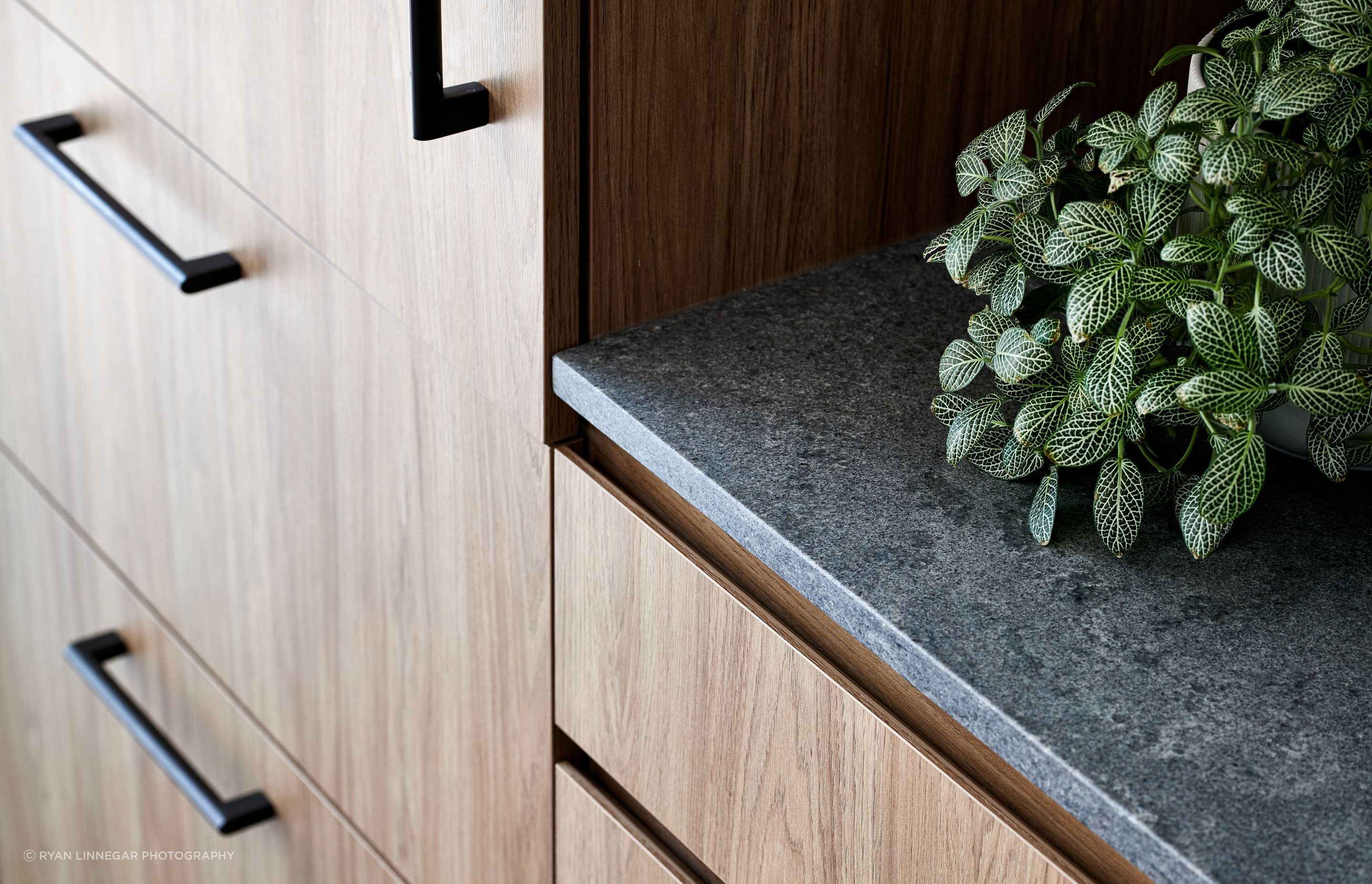 Contemporary Urban Terrace by Schemes & Spaces | ArchiPro AU