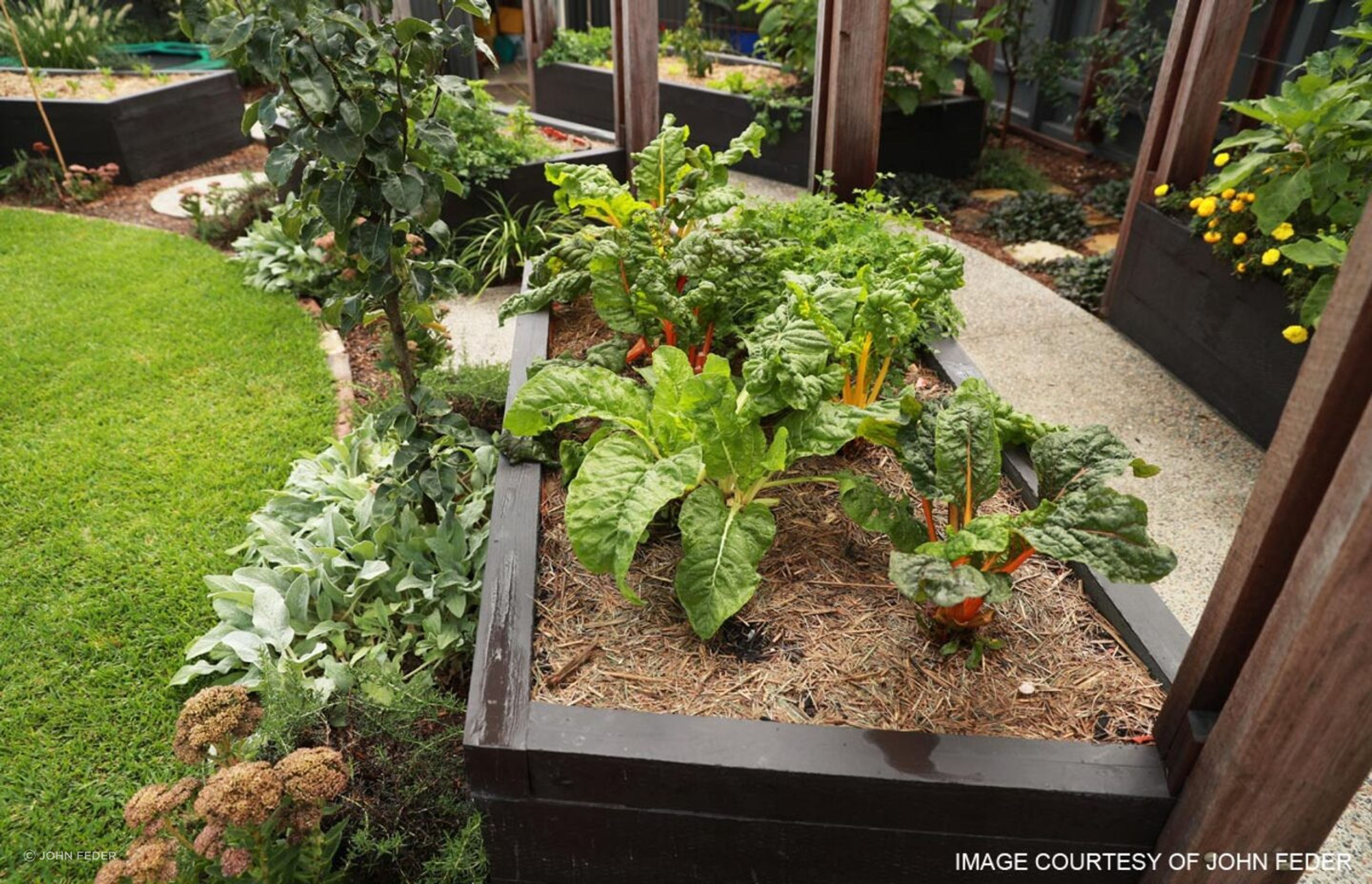 Five Dock Landscaping by Urban Garden Enrichment | ArchiPro AU